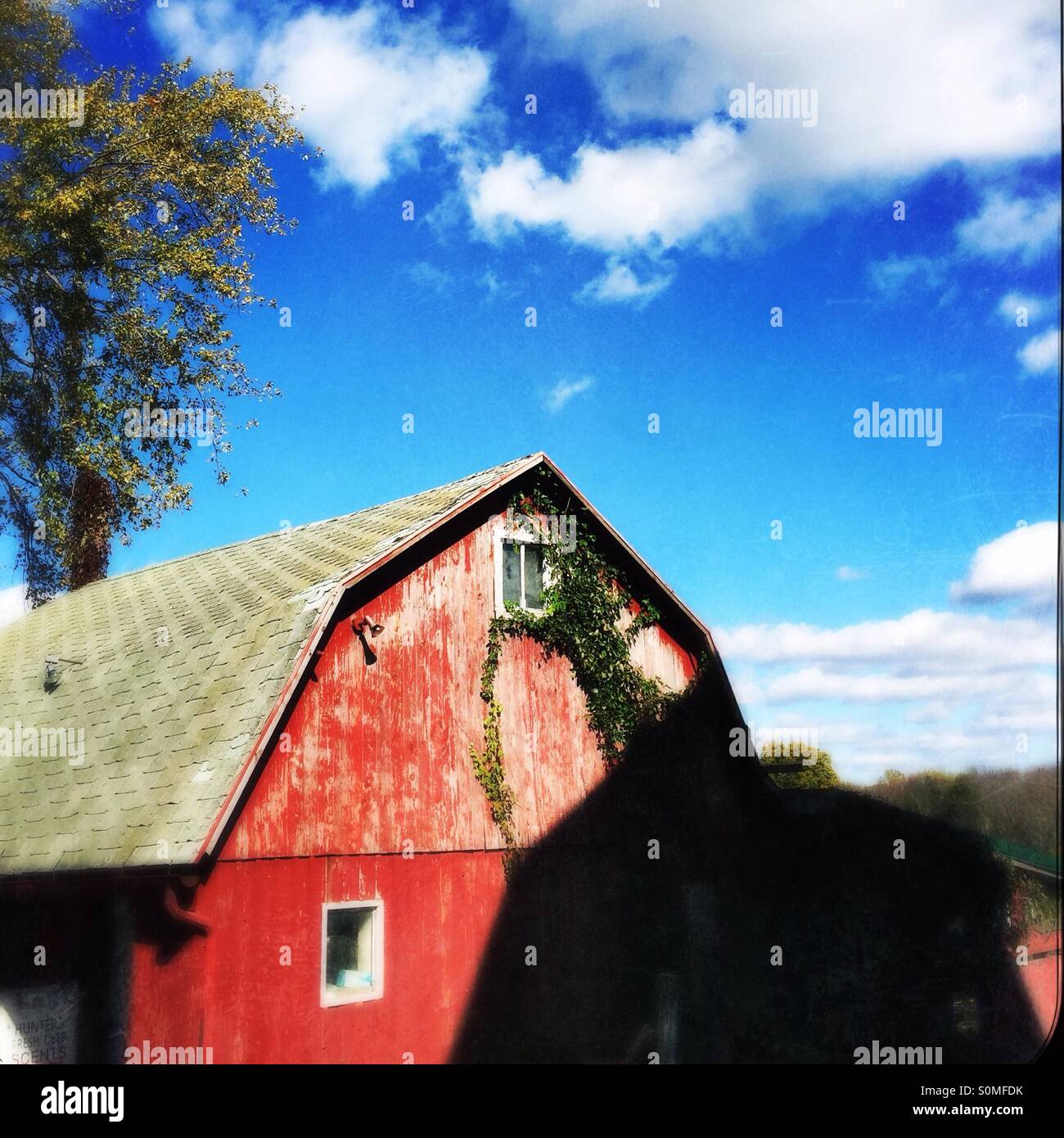 The red barn Stock Photo - Alamy