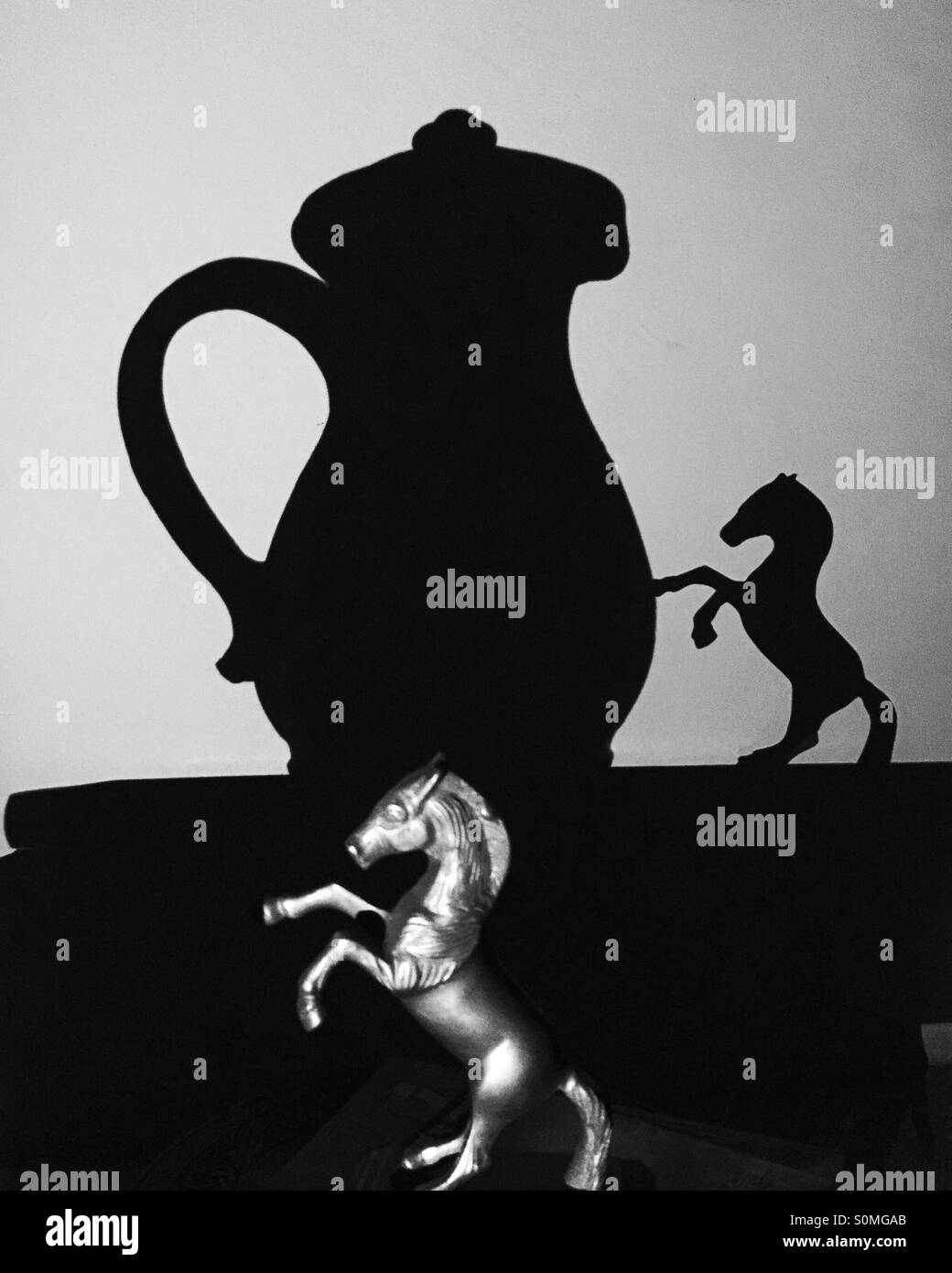 Horse shadow hi-res stock photography and images - Alamy