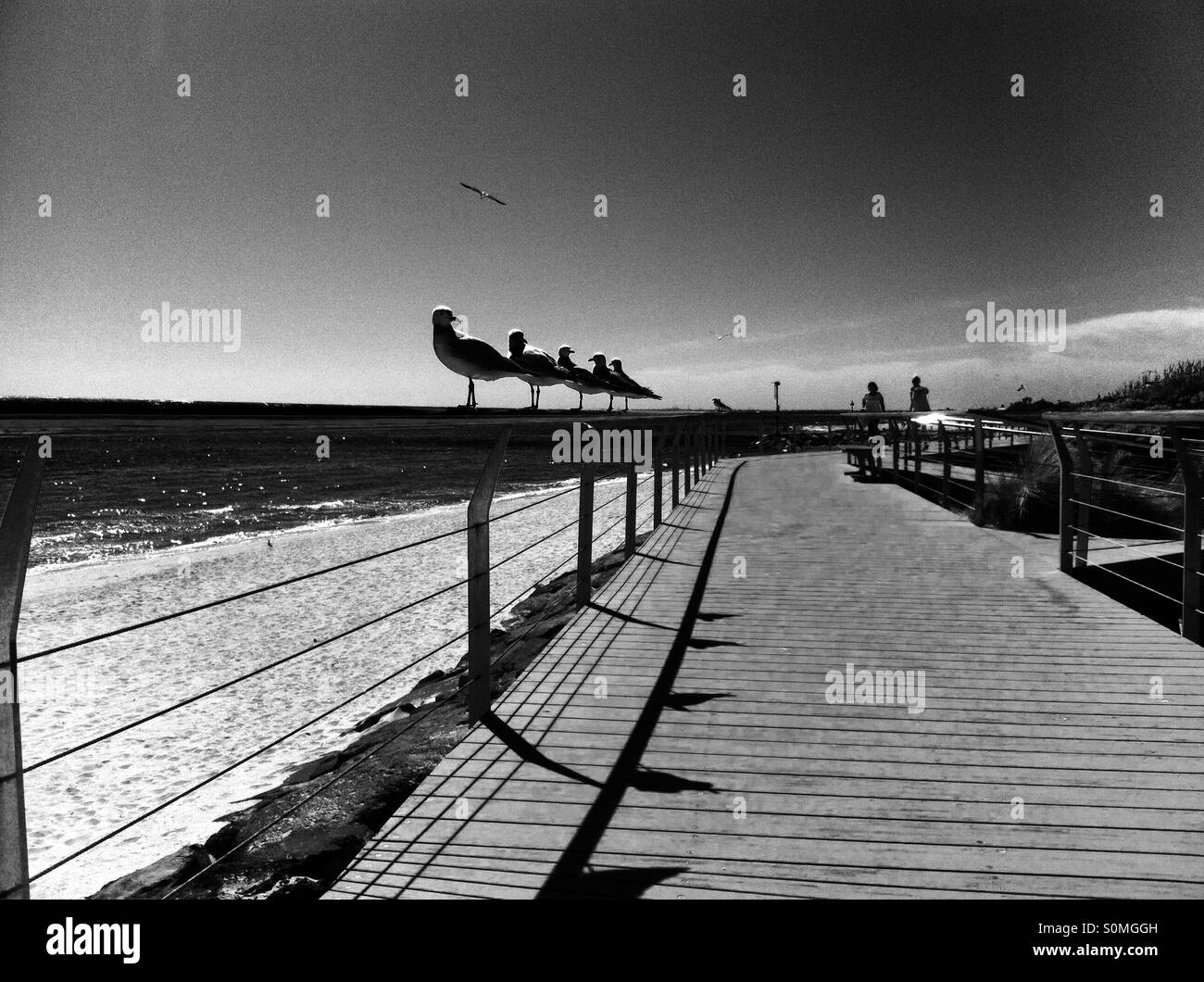 Starting line Black and White Stock Photos & Images - Alamy