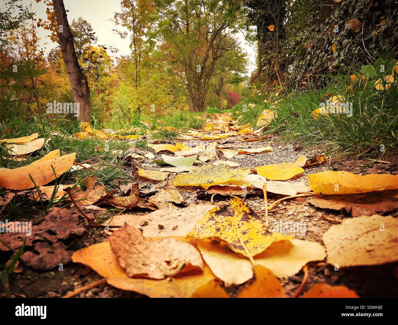 Autmn hike germany hi-res stock photography and images - Alamy