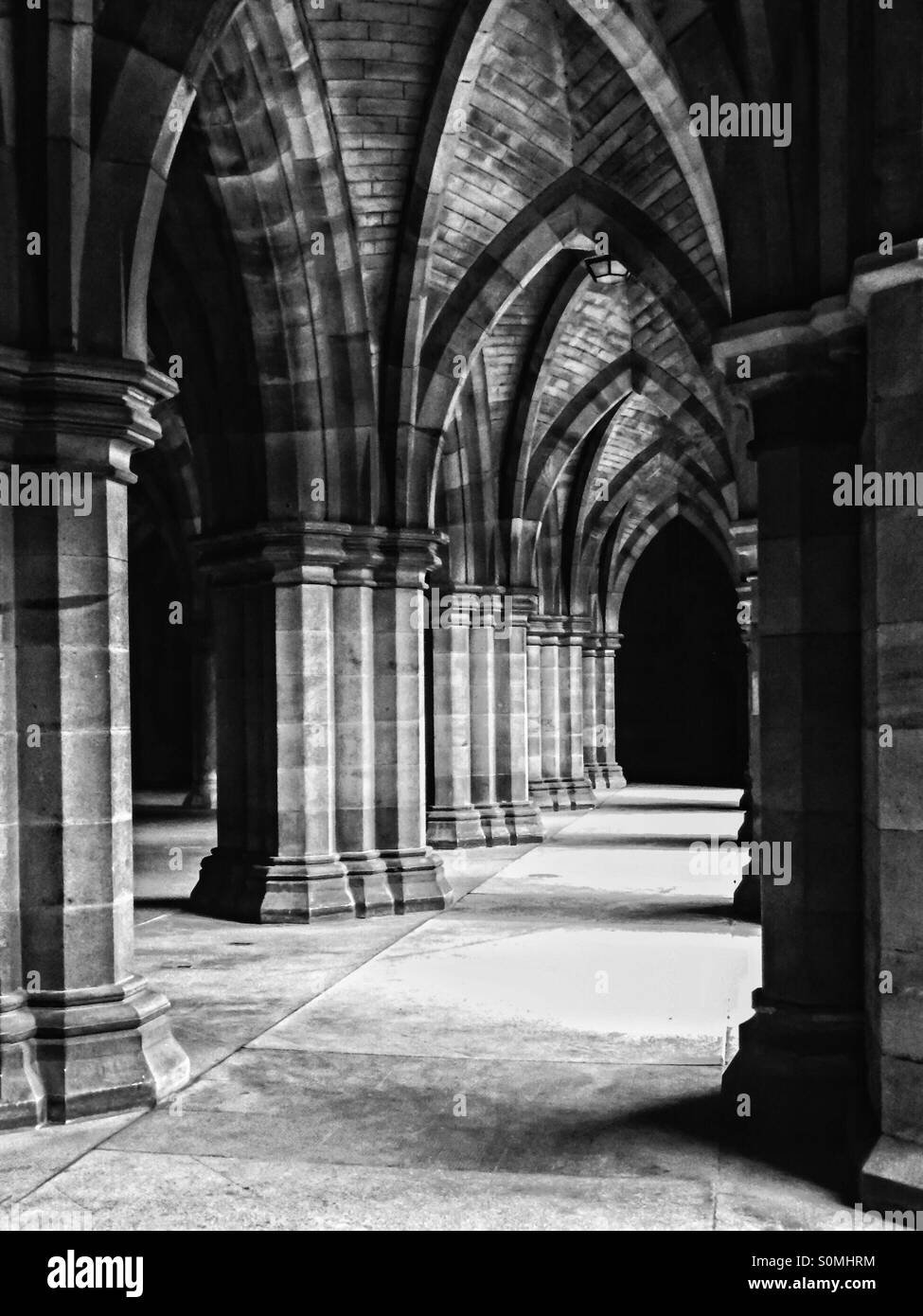 Architecture university building columns Black and White Stock Photos ...