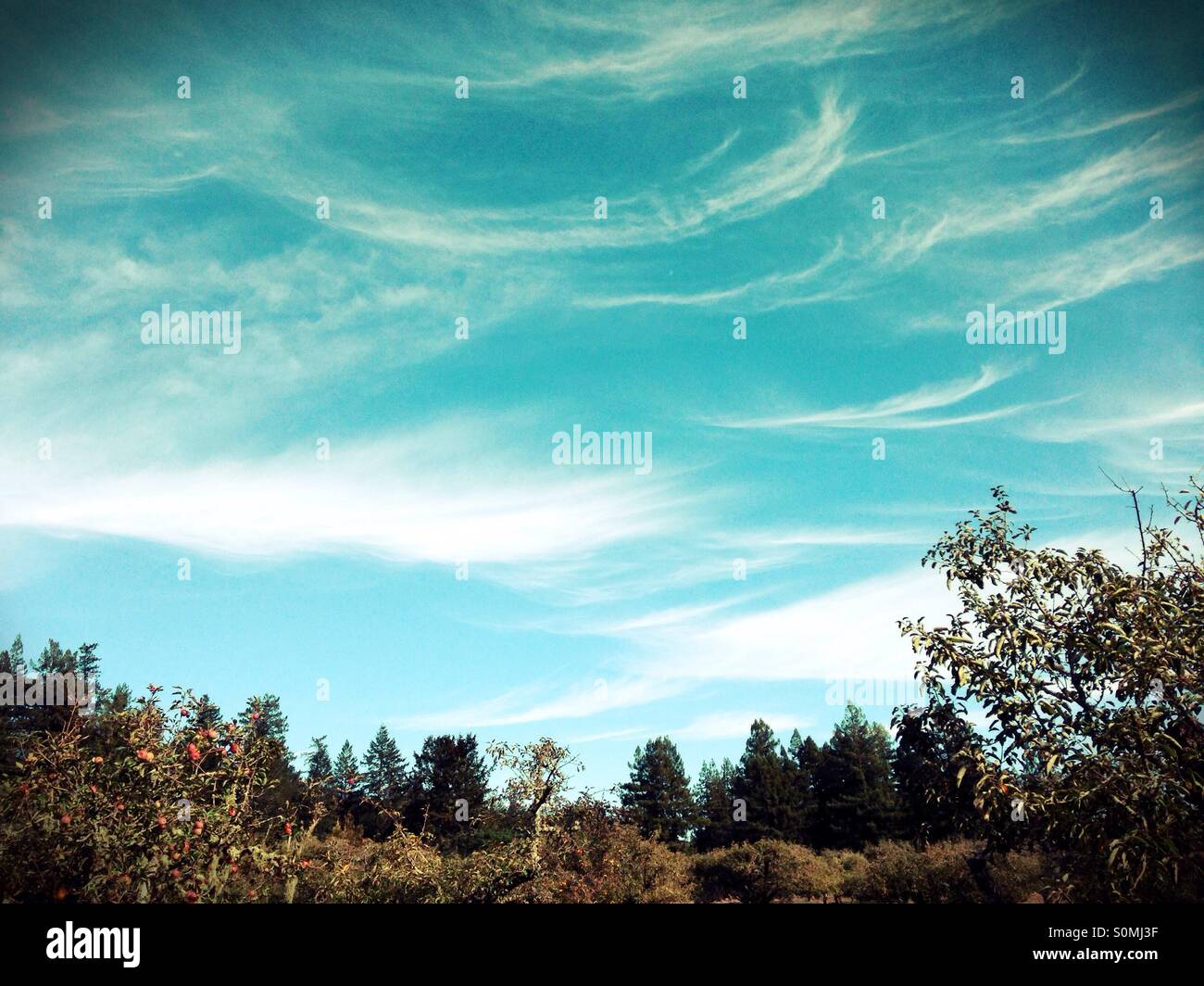 Wispy clouds hi-res stock photography and images - Alamy