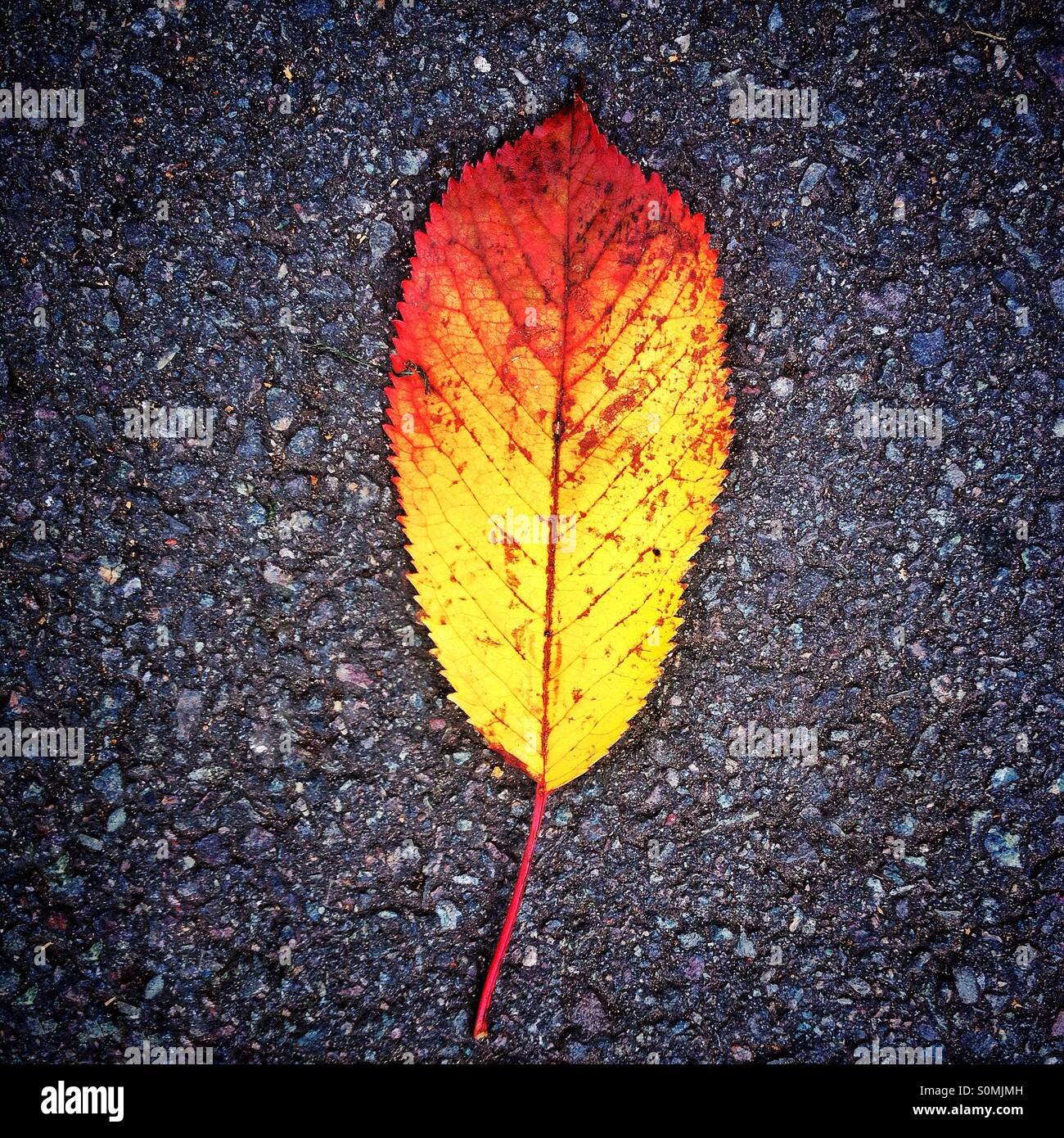 Tarmac texture hi-res stock photography and images - Alamy