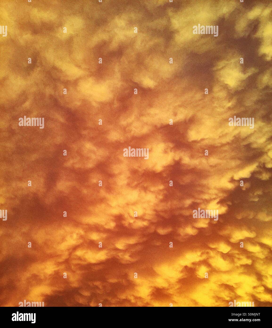 Gold sky hi-res stock photography and images - Alamy