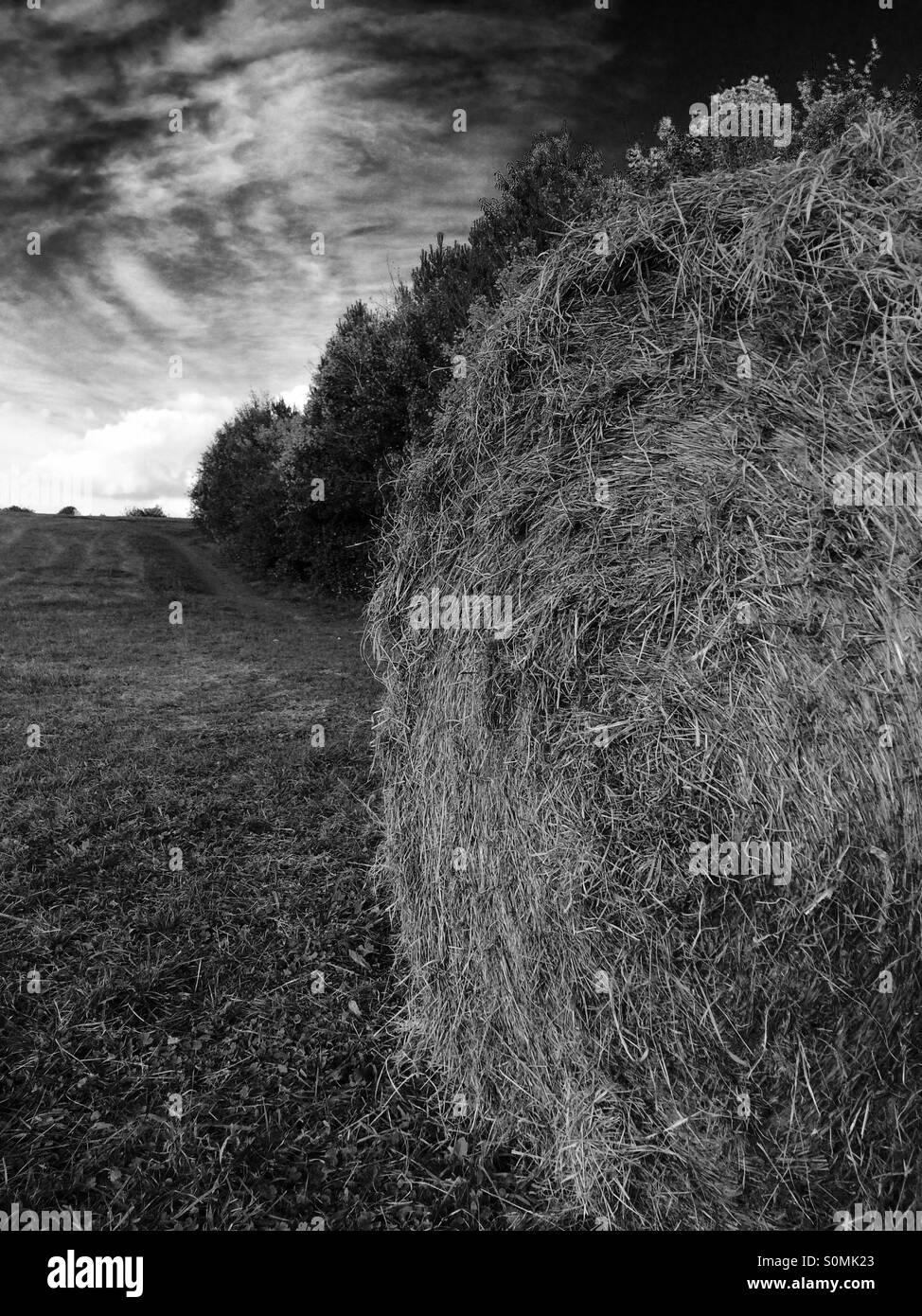 1 One Bale High Resolution Stock Photography and Images - Alamy