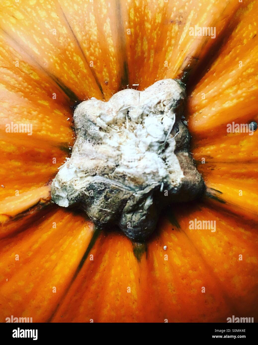 Overhead view of a Pumpkin Stock Photo - Alamy