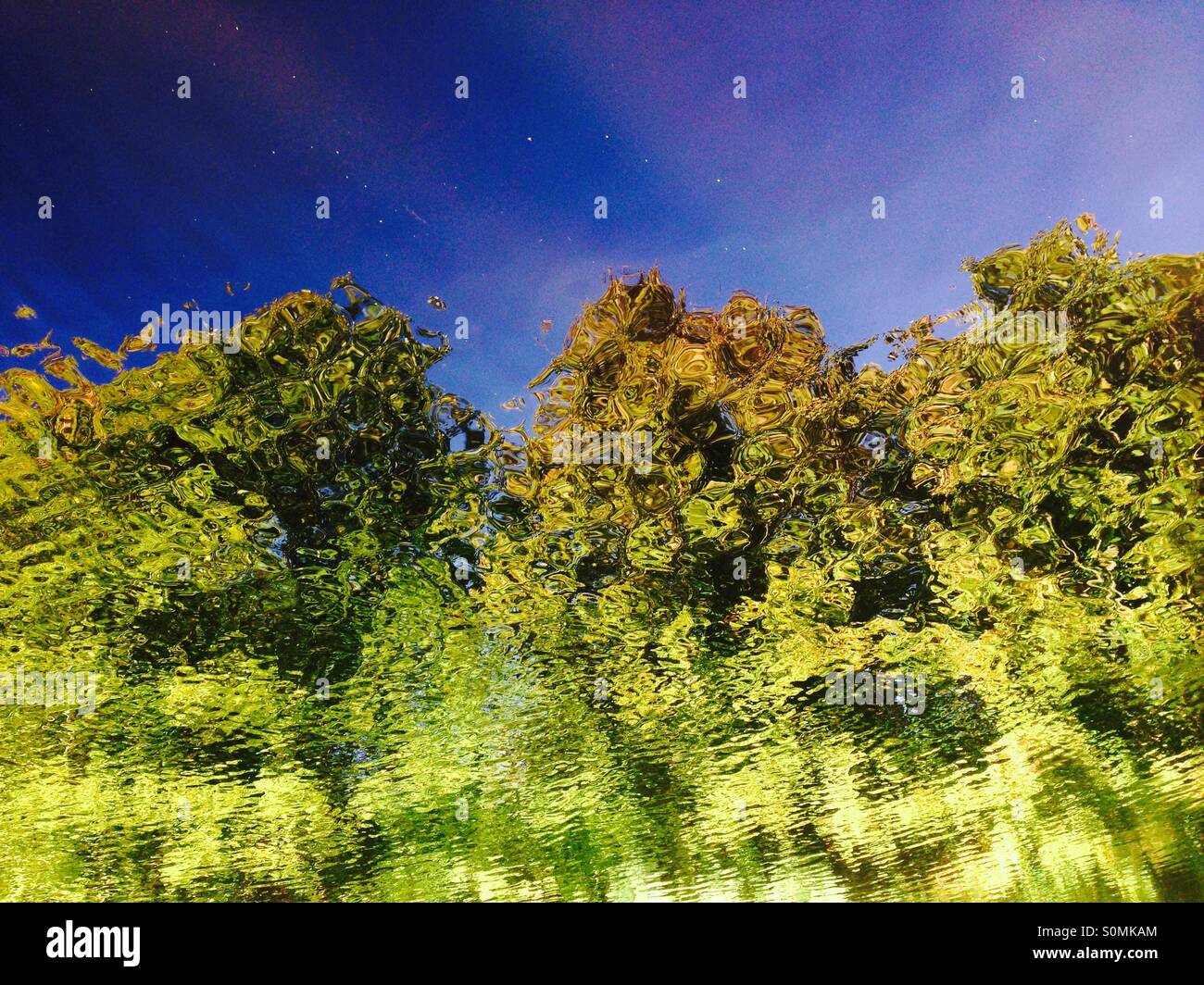 Reflecting trees hi-res stock photography and images - Alamy