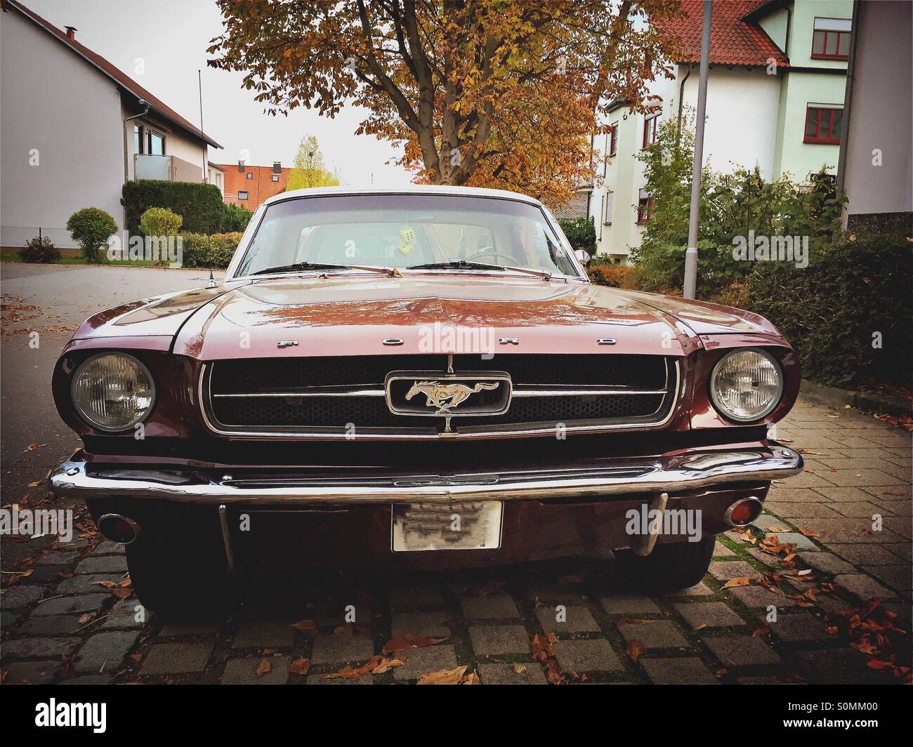 Ford mustang front view hi-res stock photography and images - Alamy