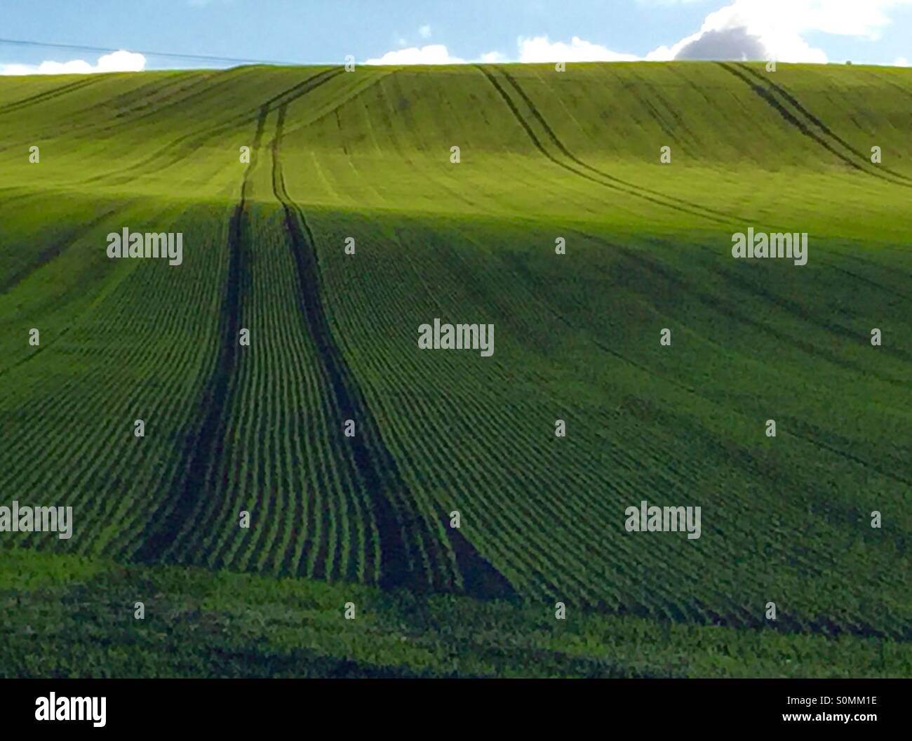 Kingsbarns scotland hi-res stock photography and images - Alamy