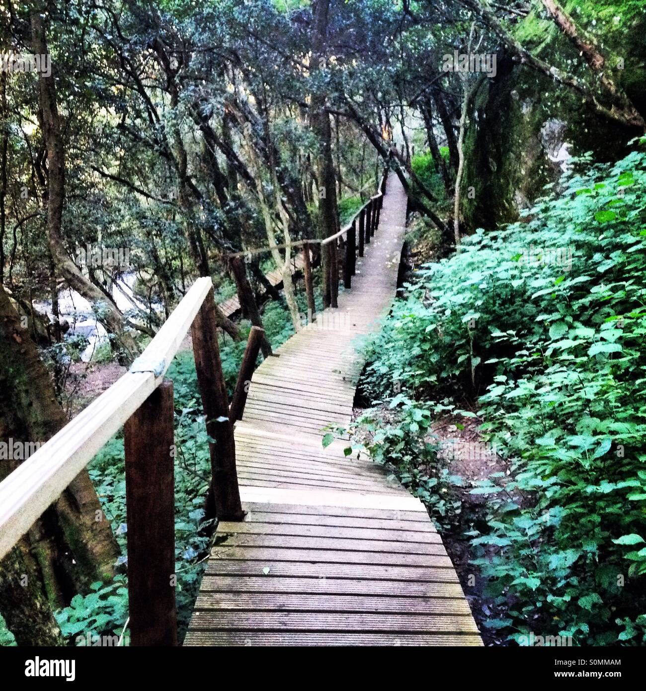 The hogsback hi-res stock photography and images - Alamy