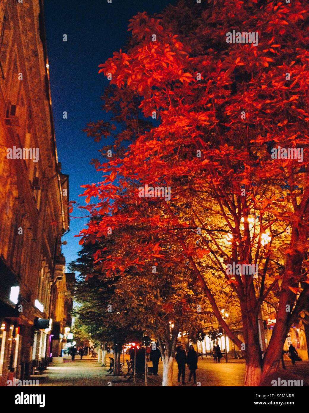 Fall street hi-res stock photography and images - Alamy