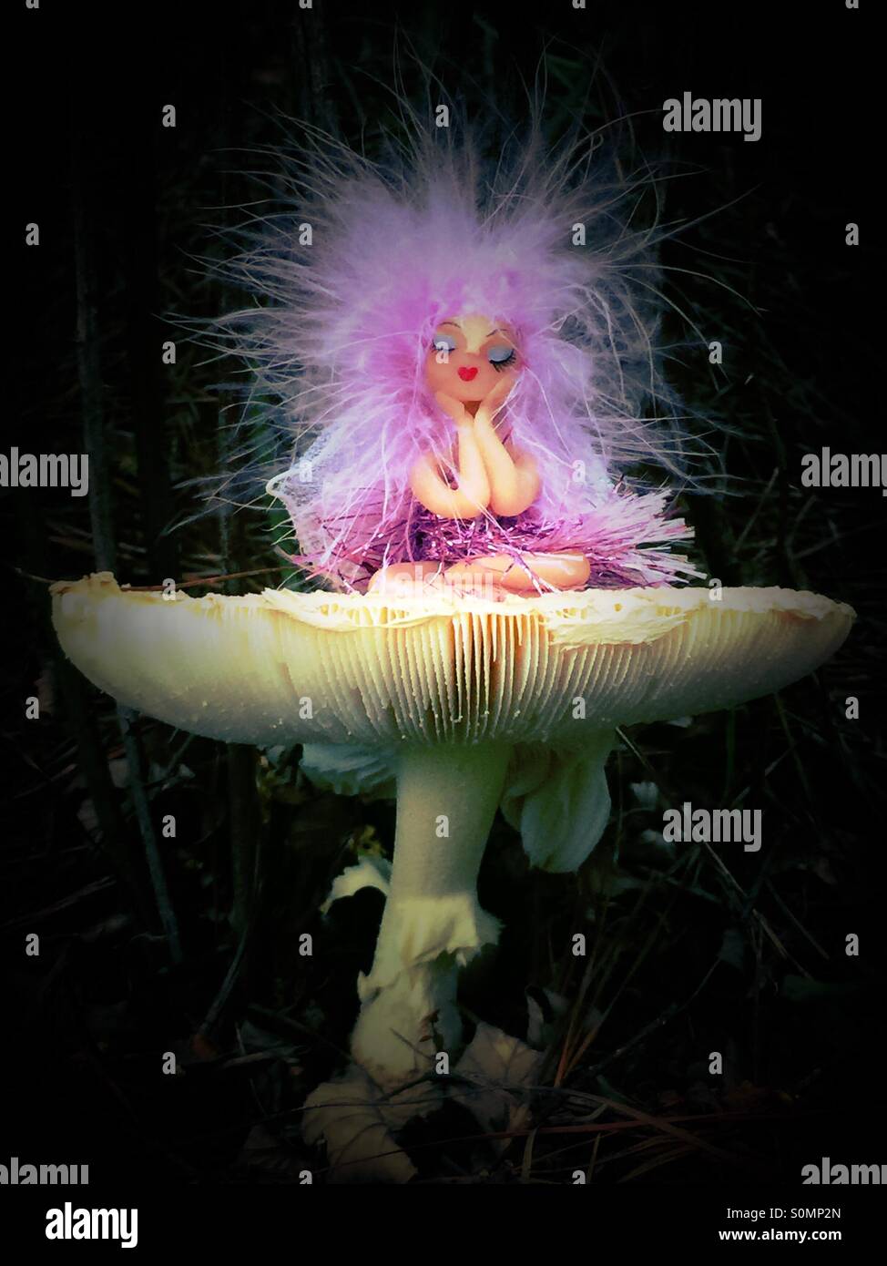 Fairy fantasy hi-res stock photography and images - Alamy
