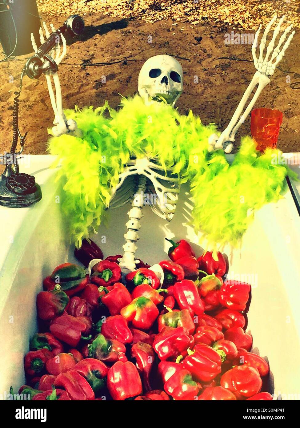 Skeleton on telephone in a bathtub filled with blood red bell peppers ...