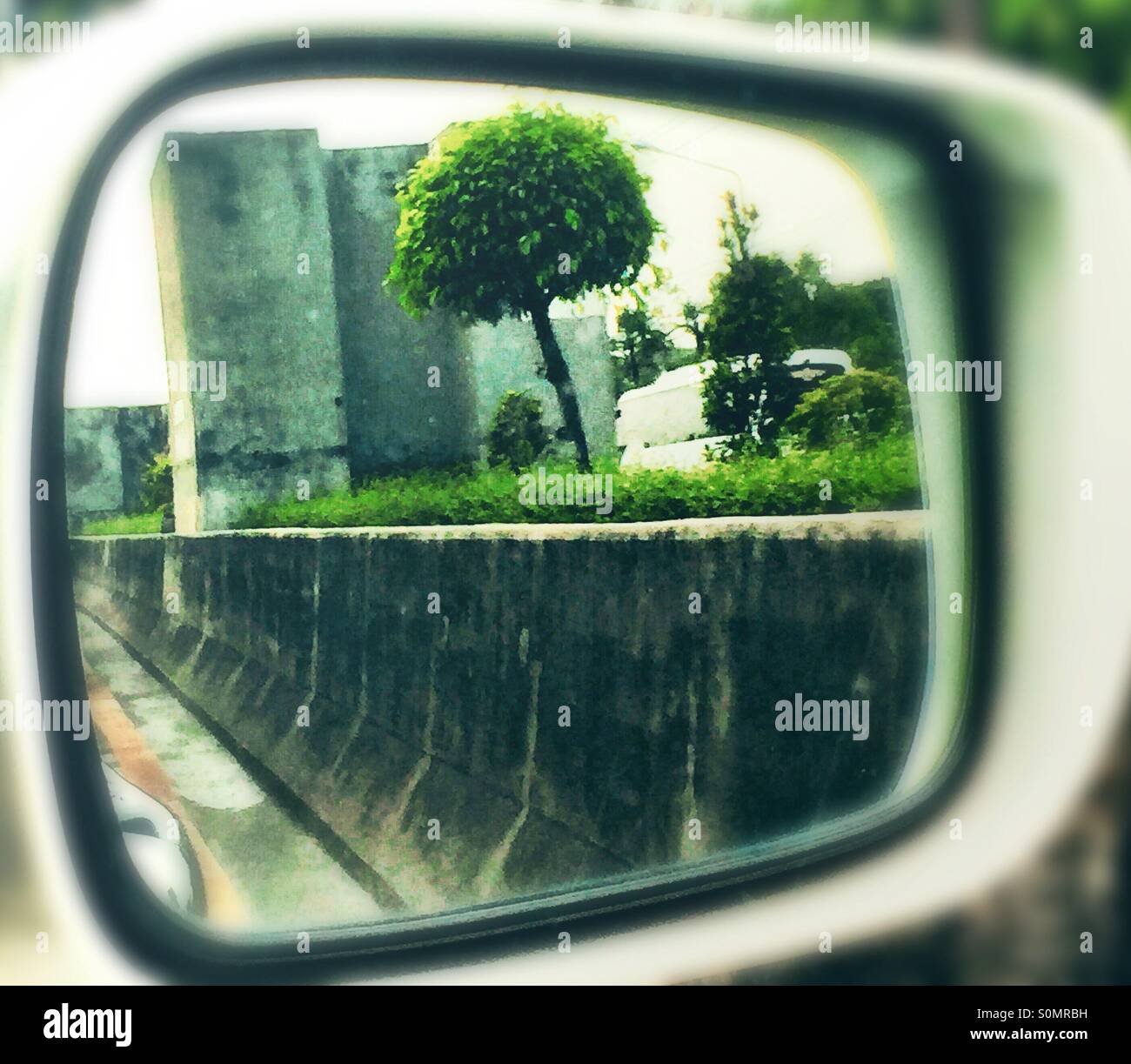 Tree mirror hi-res stock photography and images - Alamy