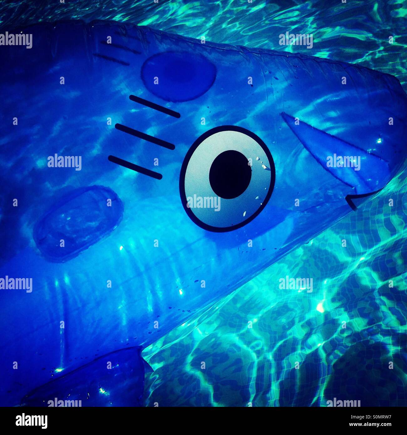 Inflatable shark in pool Stock Photo - Alamy