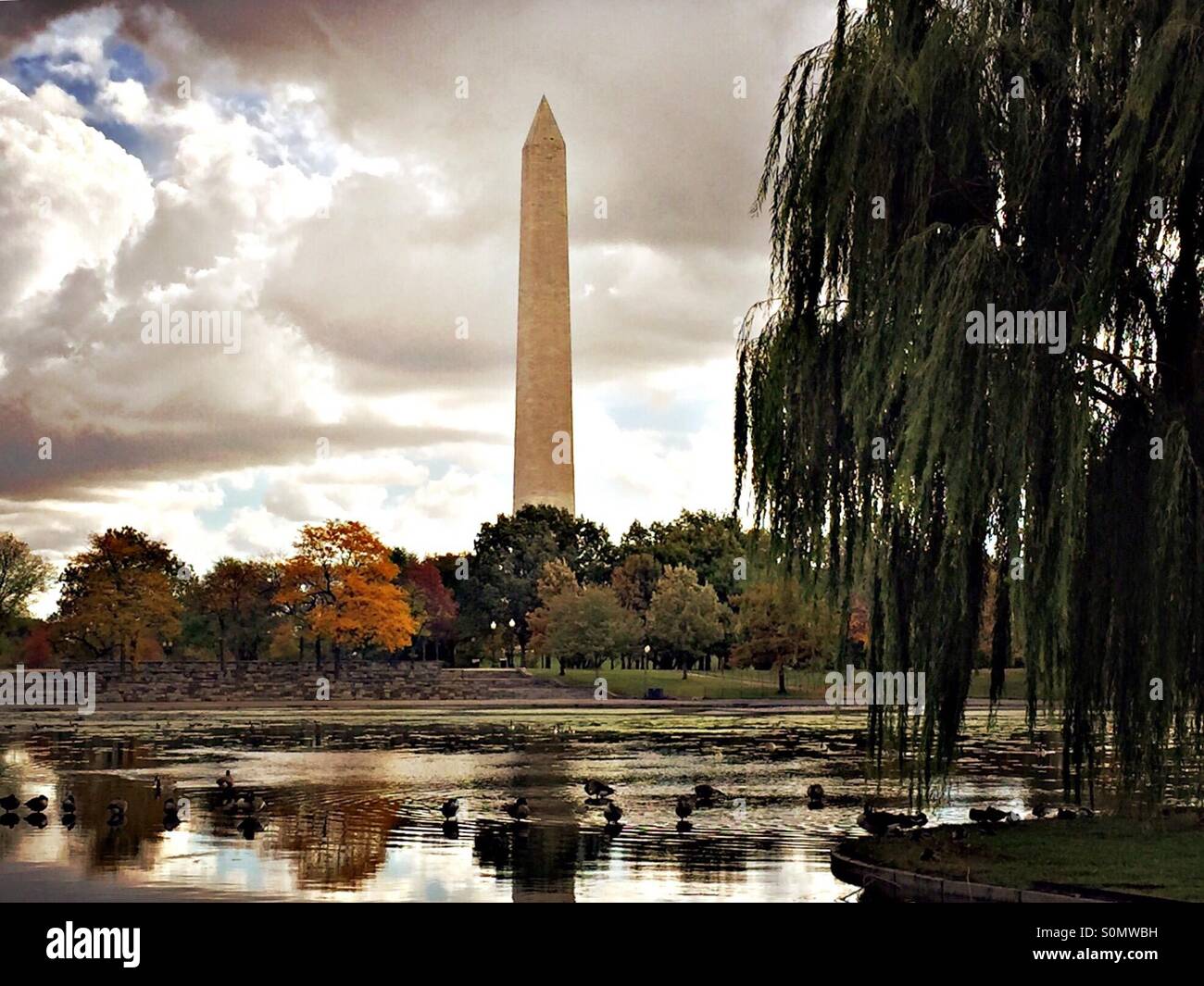 Washington monument with tree and clouds hi-res stock photography and ...
