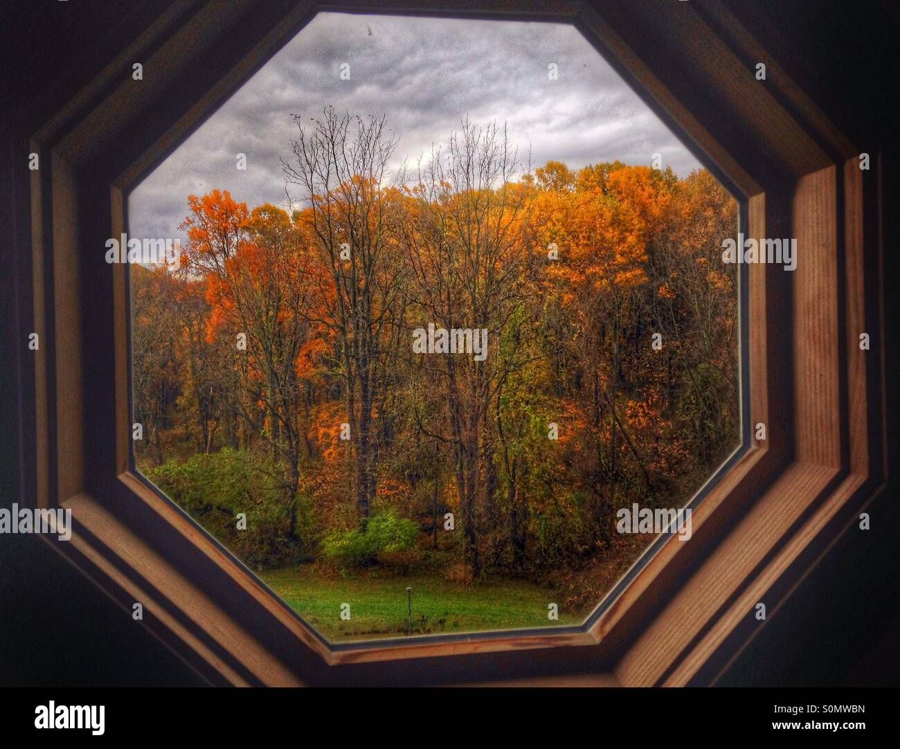 Changing trees in Autumn as seen through a porthole like window Stock ...