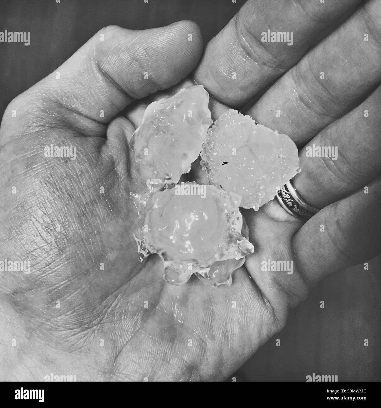Hand hail Black and White Stock Photos & Images - Alamy