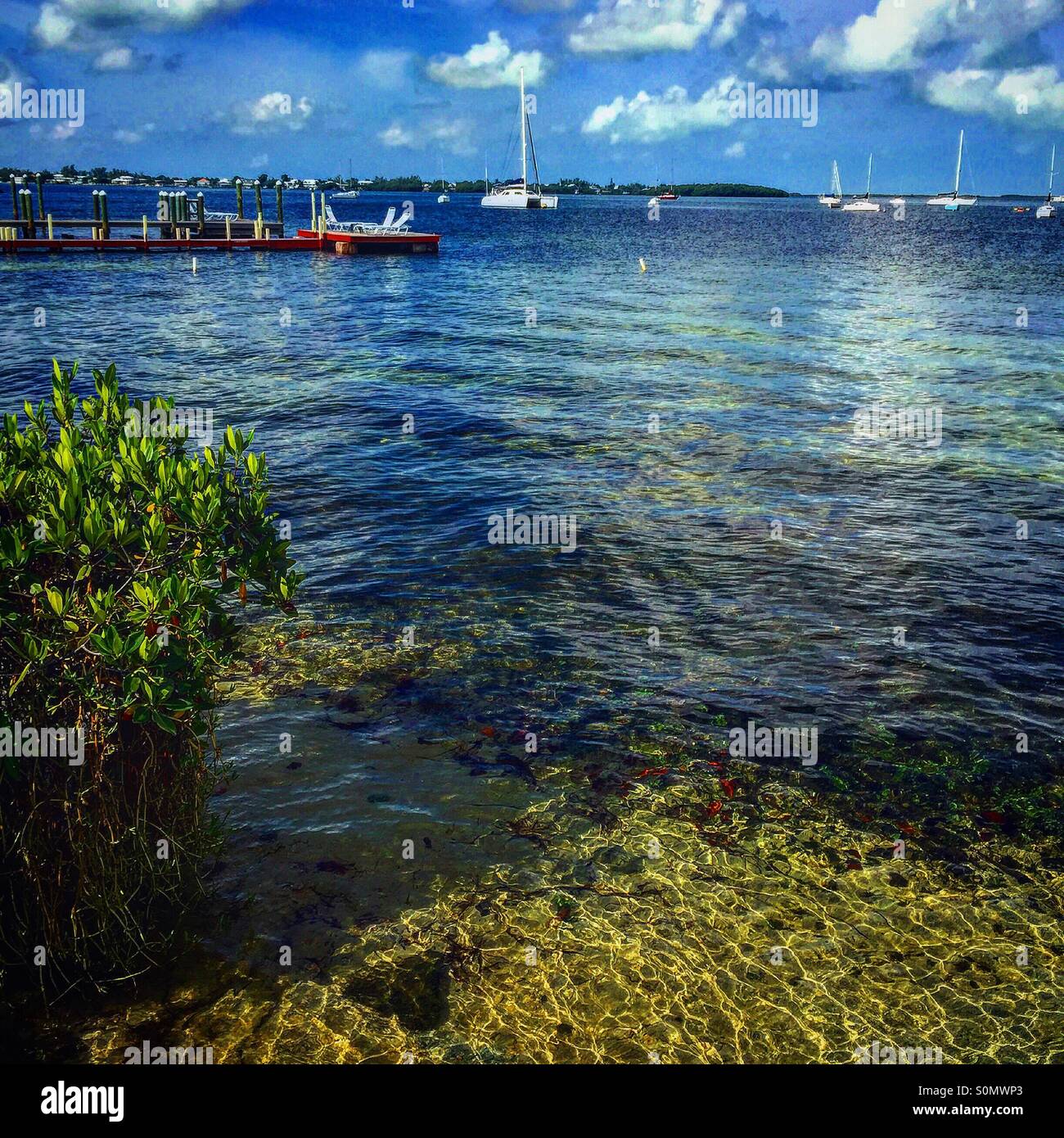 Key largo beach hi-res stock photography and images - Alamy
