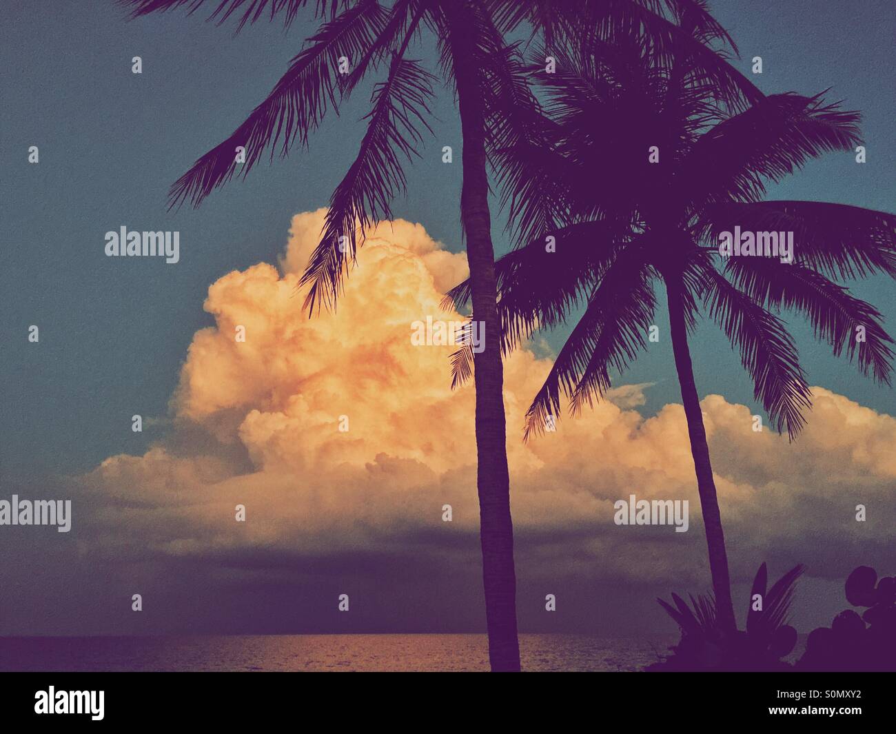 Sunset at hollywood hi-res stock photography and images - Alamy