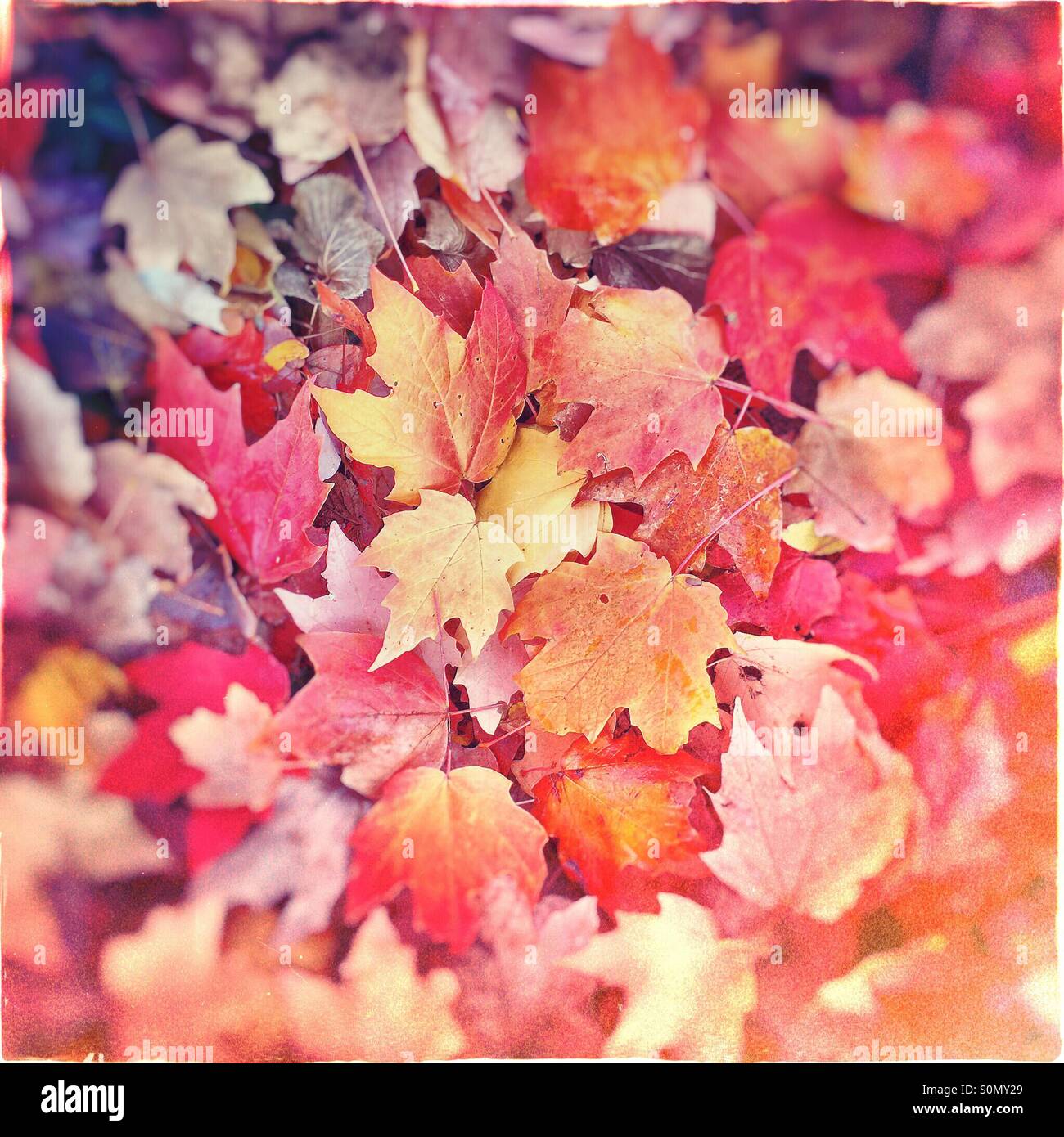 Transition Colors High Resolution Stock Photography and Images - Alamy