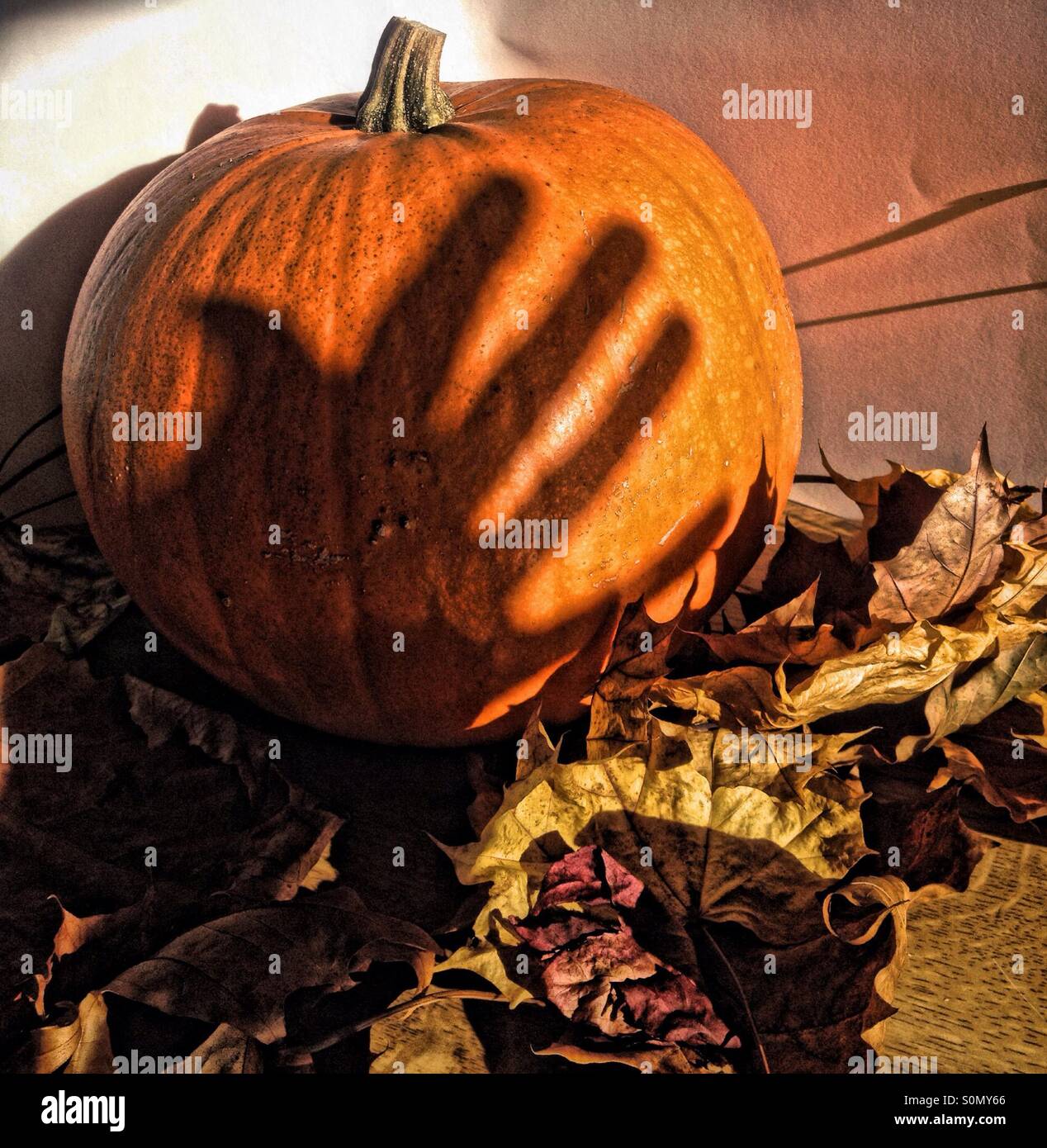 Reflection of a hand on a pumpkin Stock Photo - Alamy