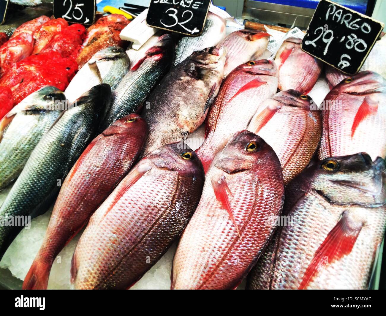 Fish on the market of Palma de Mallorca Stock Photo - Alamy