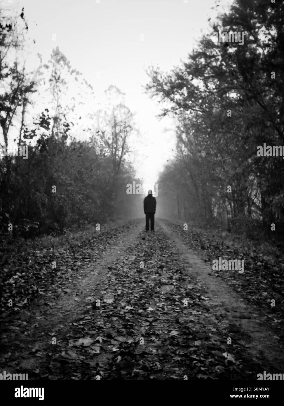 Trail lines hi-res stock photography and images - Alamy