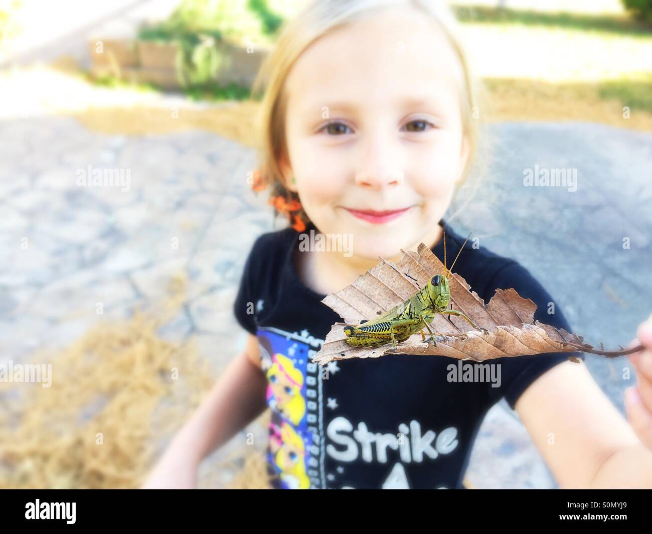 Successful bug catch! Stock Photo - Alamy