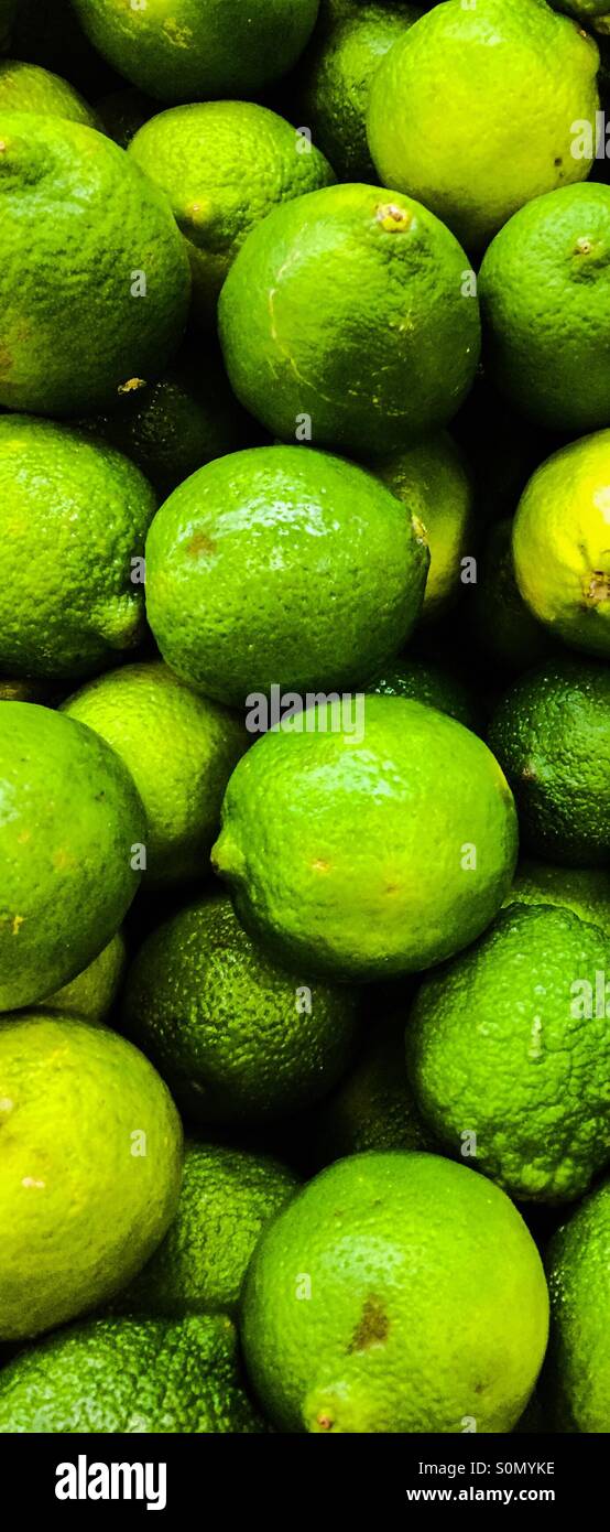 Citrus display hi-res stock photography and images - Alamy
