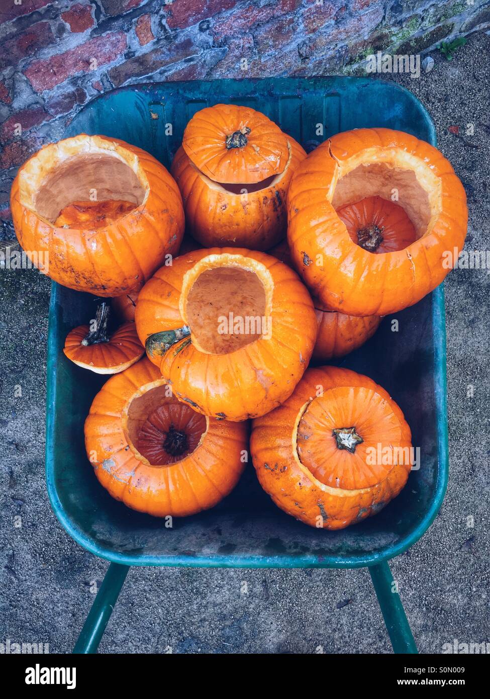 Pumpkins in wheelbarrow Stock Photo - Alamy