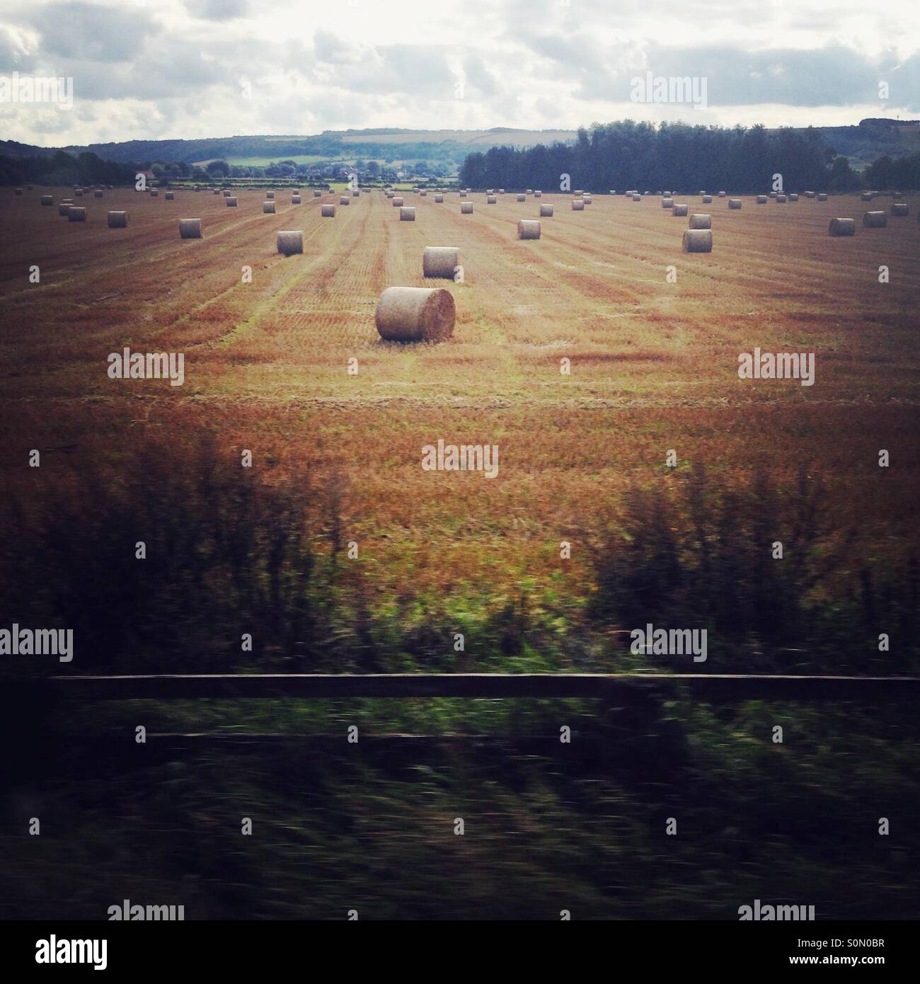 Horizon of trees with train track hi-res stock photography and images ...