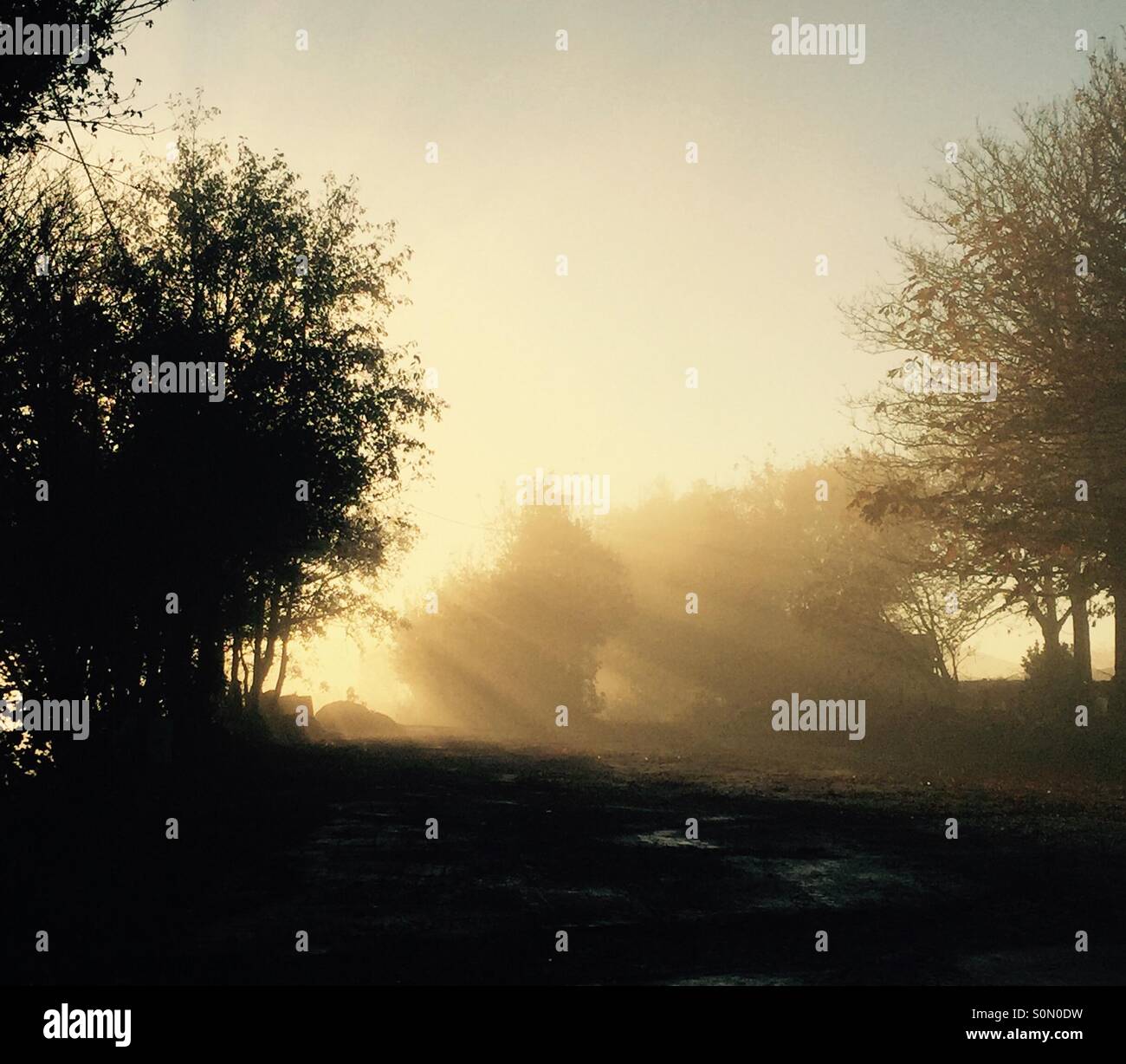Sunny morning view hi-res stock photography and images - Alamy