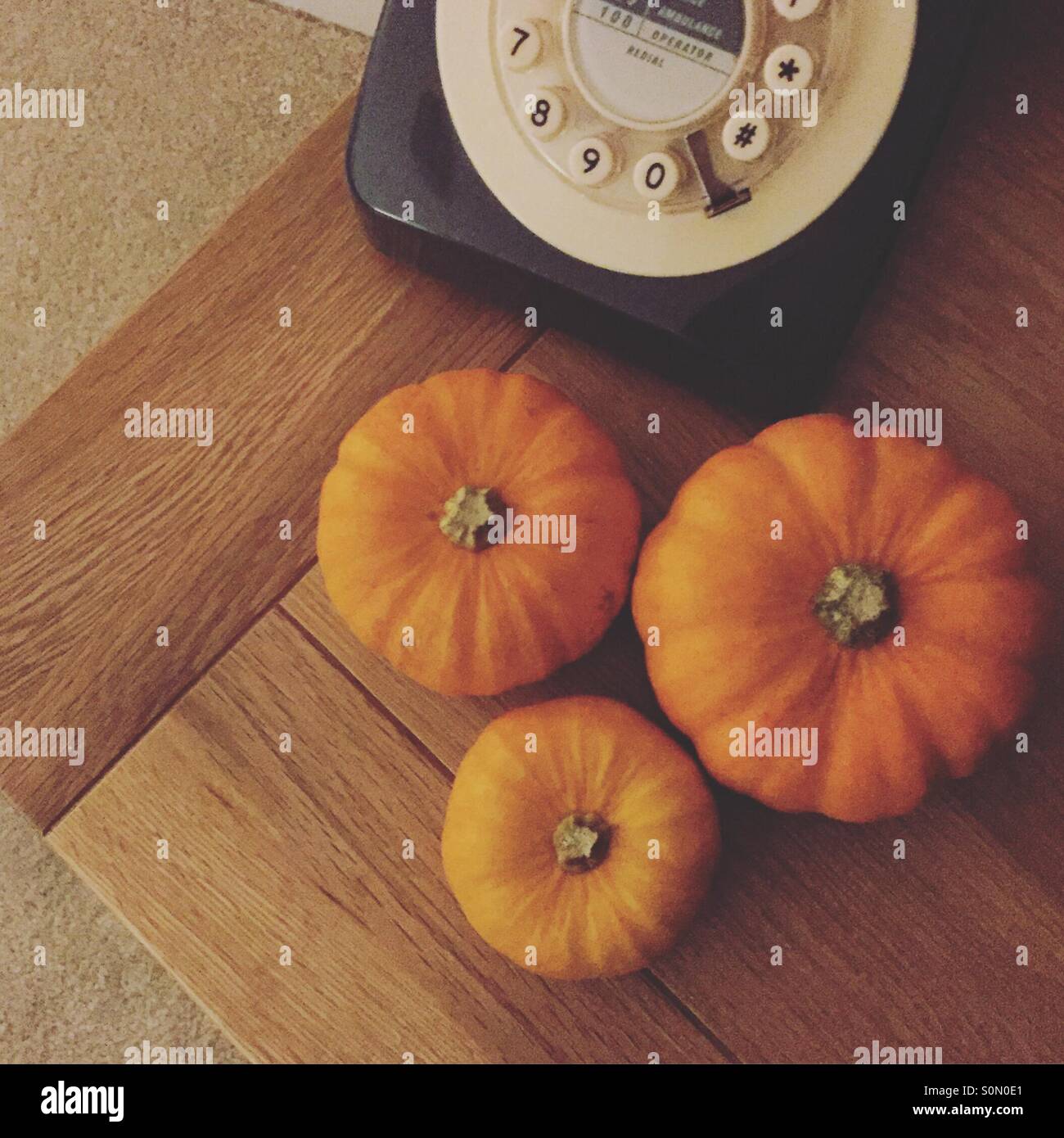 Munchkin Pumpkins High Resolution Stock Photography and Images - Alamy