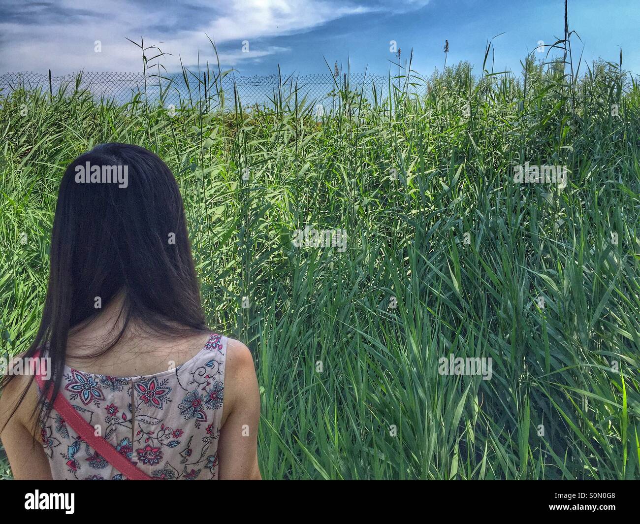 Woman in the reed Stock Photo - Alamy