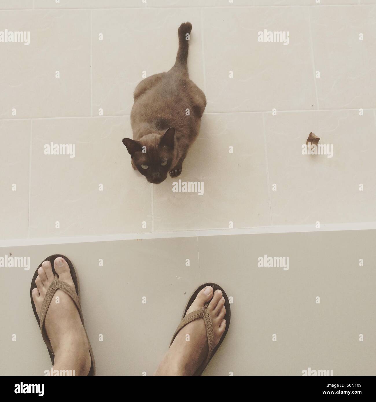 Looking at feet hi-res stock photography and images - Alamy