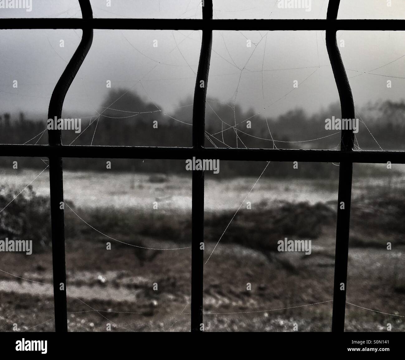 Nature prison hi-res stock photography and images - Alamy