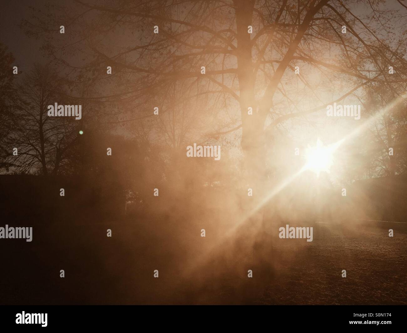 Dust in the sun hi-res stock photography and images - Alamy