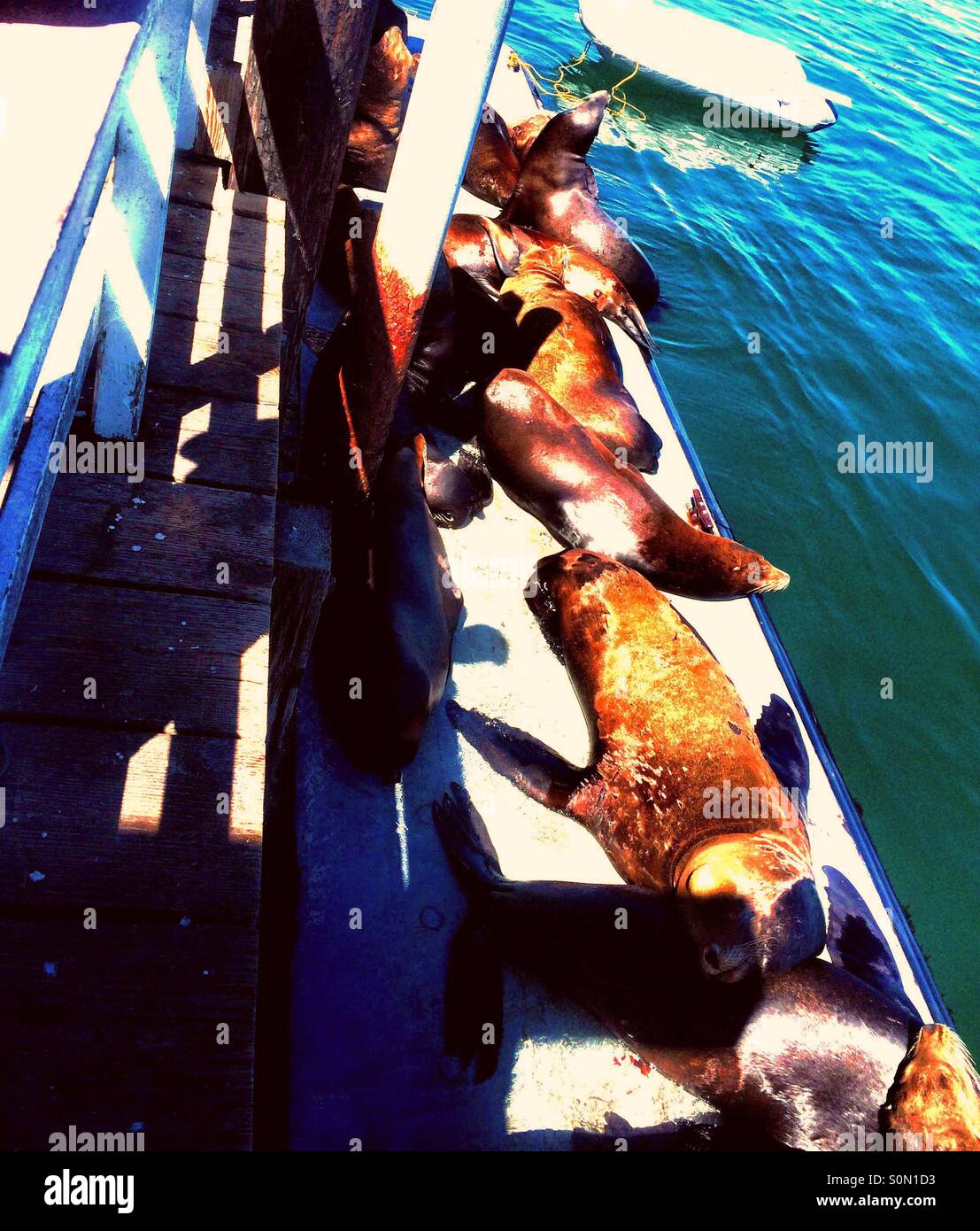 Laying on pier hi-res stock photography and images - Alamy