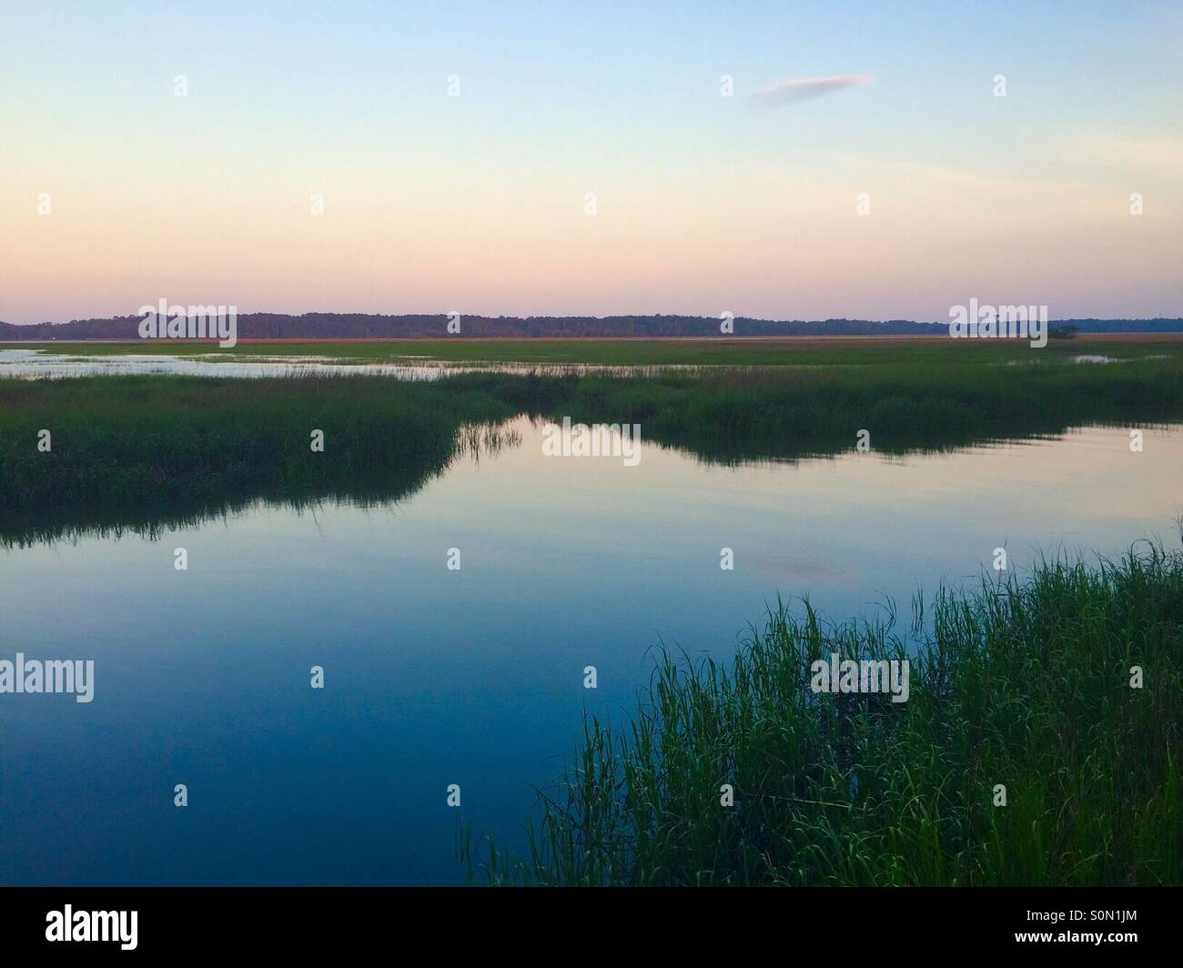 Coastal georgia marsh hi-res stock photography and images - Alamy