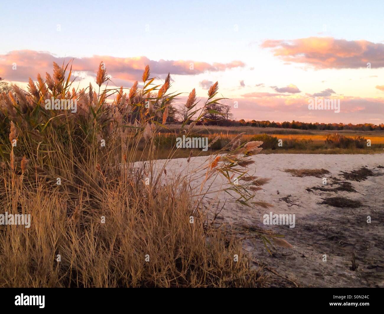 Autumn at dusk Stock Photo - Alamy