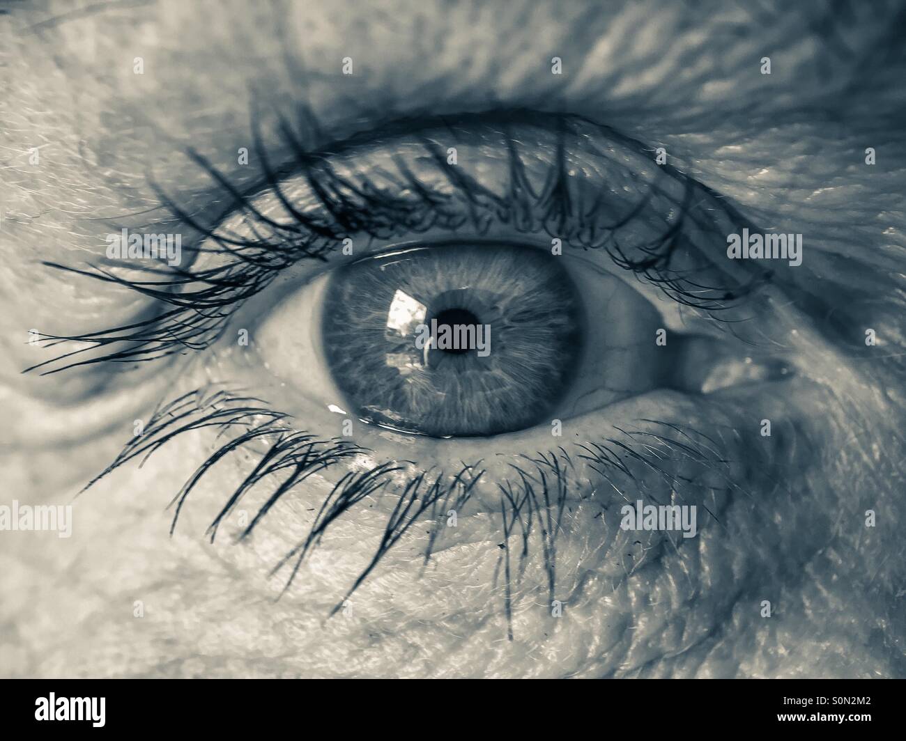 The Human Eye Stock Photo - Alamy