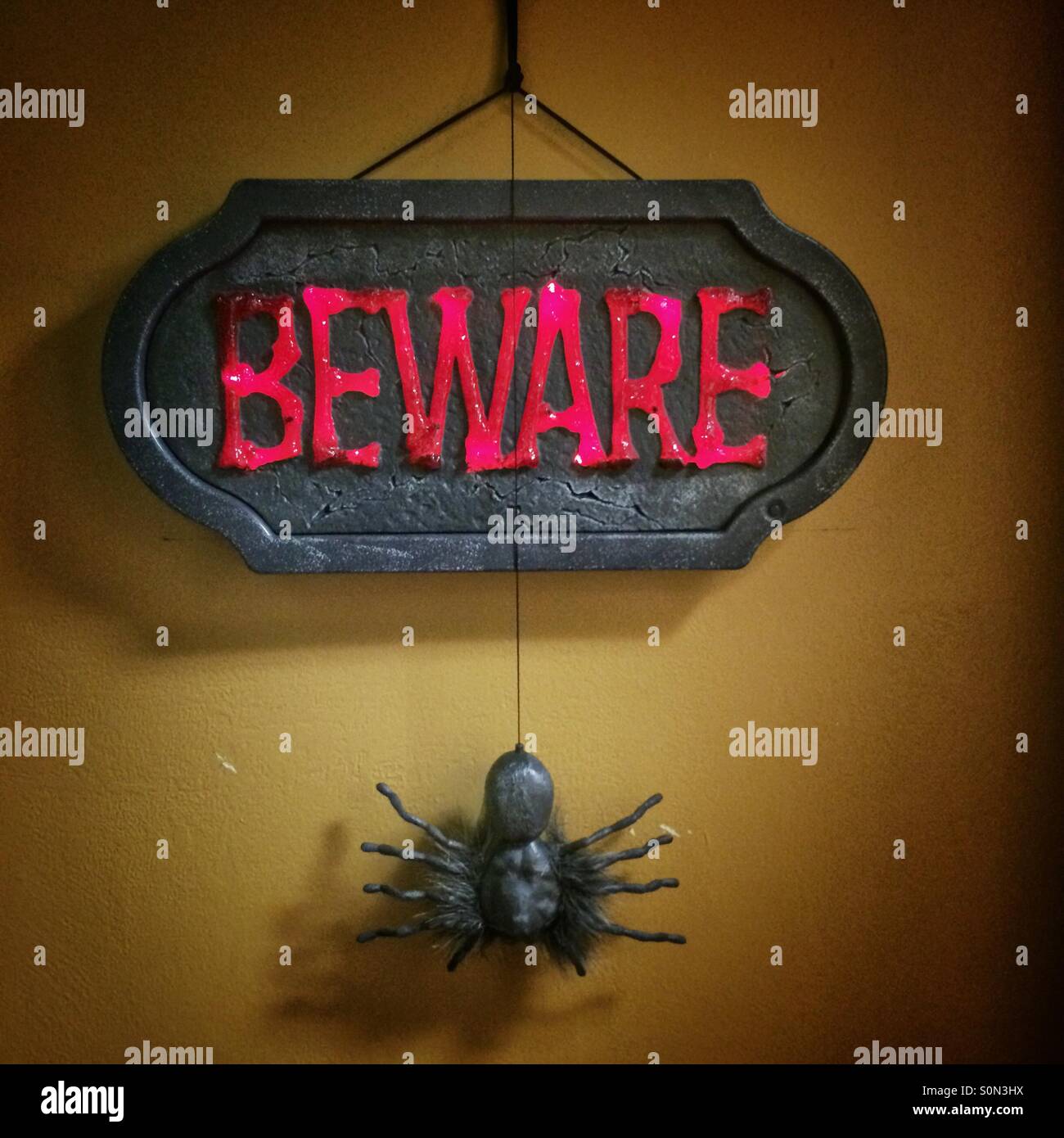 Beware the black widow spider Stock Photo - Alamy