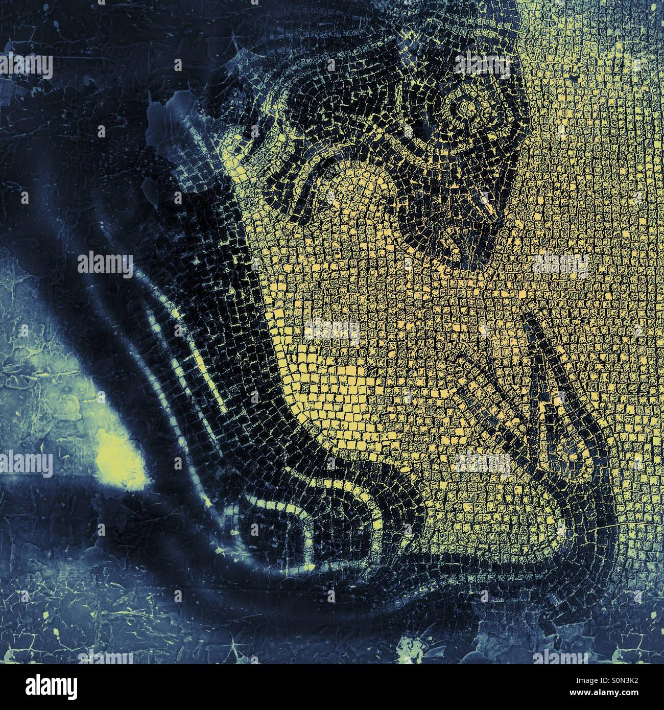 Lion and snake mosaic Foro Italico Rome Stock Photo - Alamy