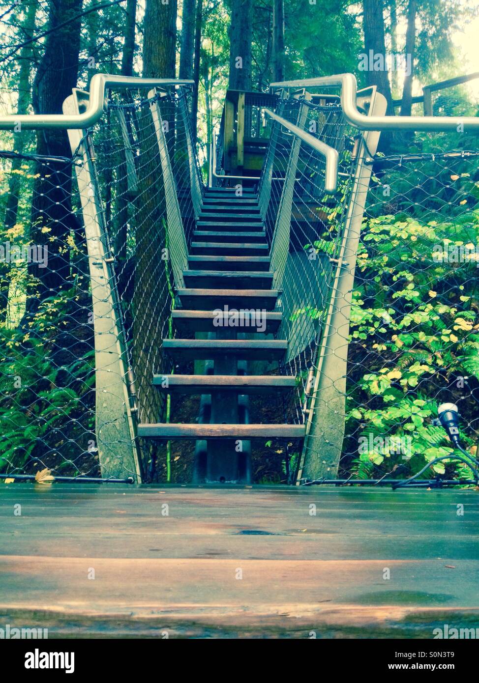 Pathways hi-res stock photography and images - Alamy