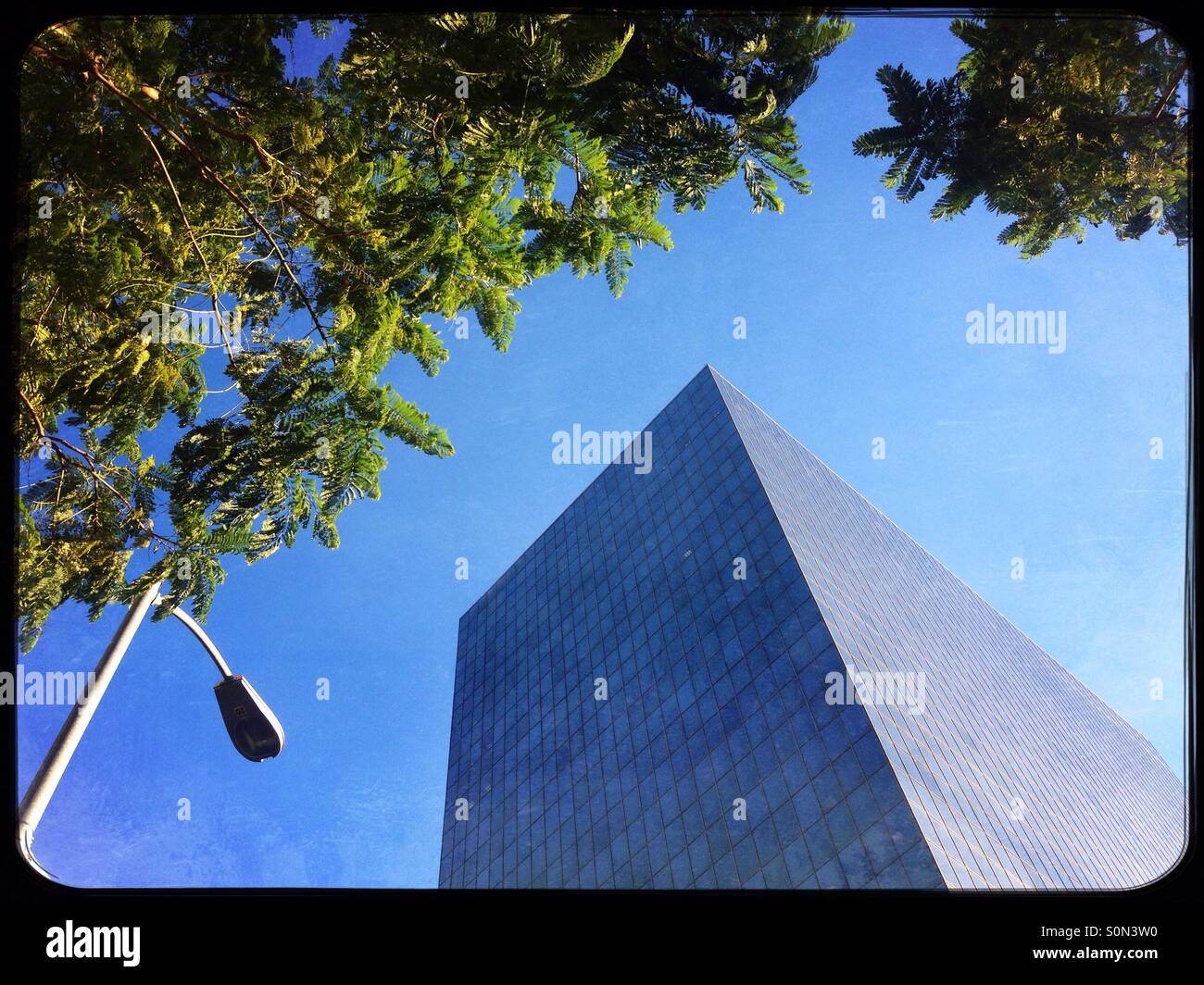 Tall green building hi-res stock photography and images - Alamy