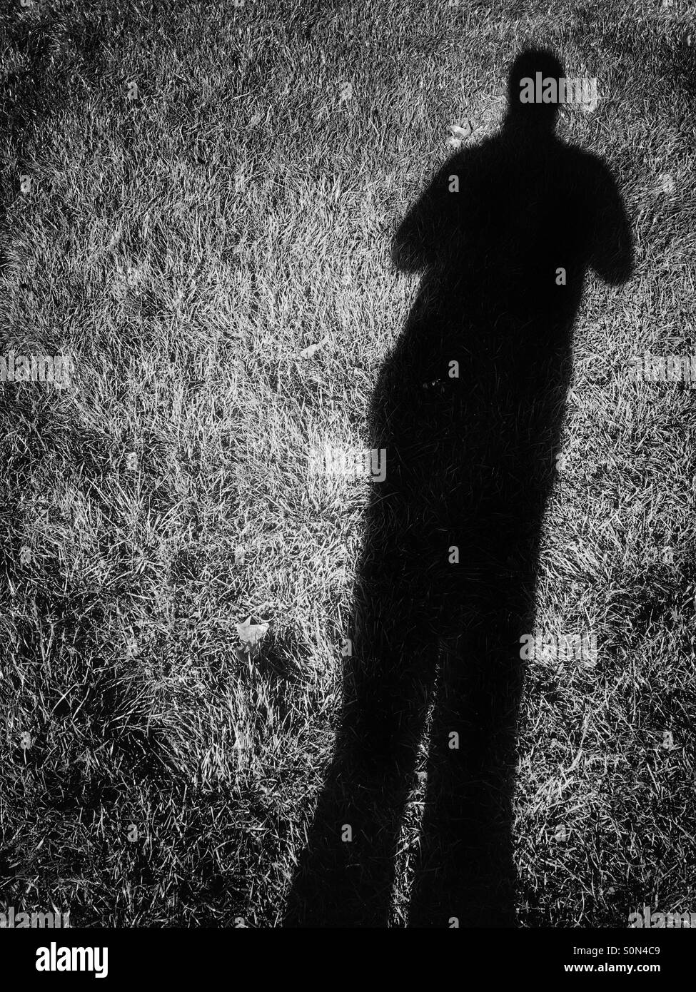 Silhouette of a long grass hi-res stock photography and images - Alamy