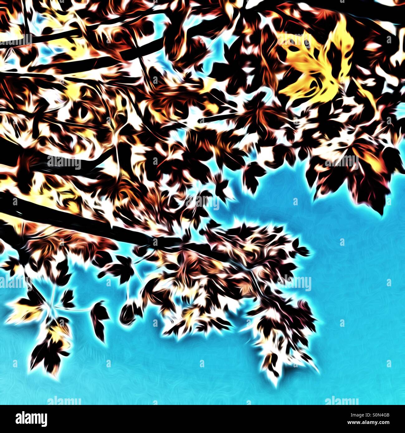 Brown leaf pattern hi-res stock photography and images - Alamy