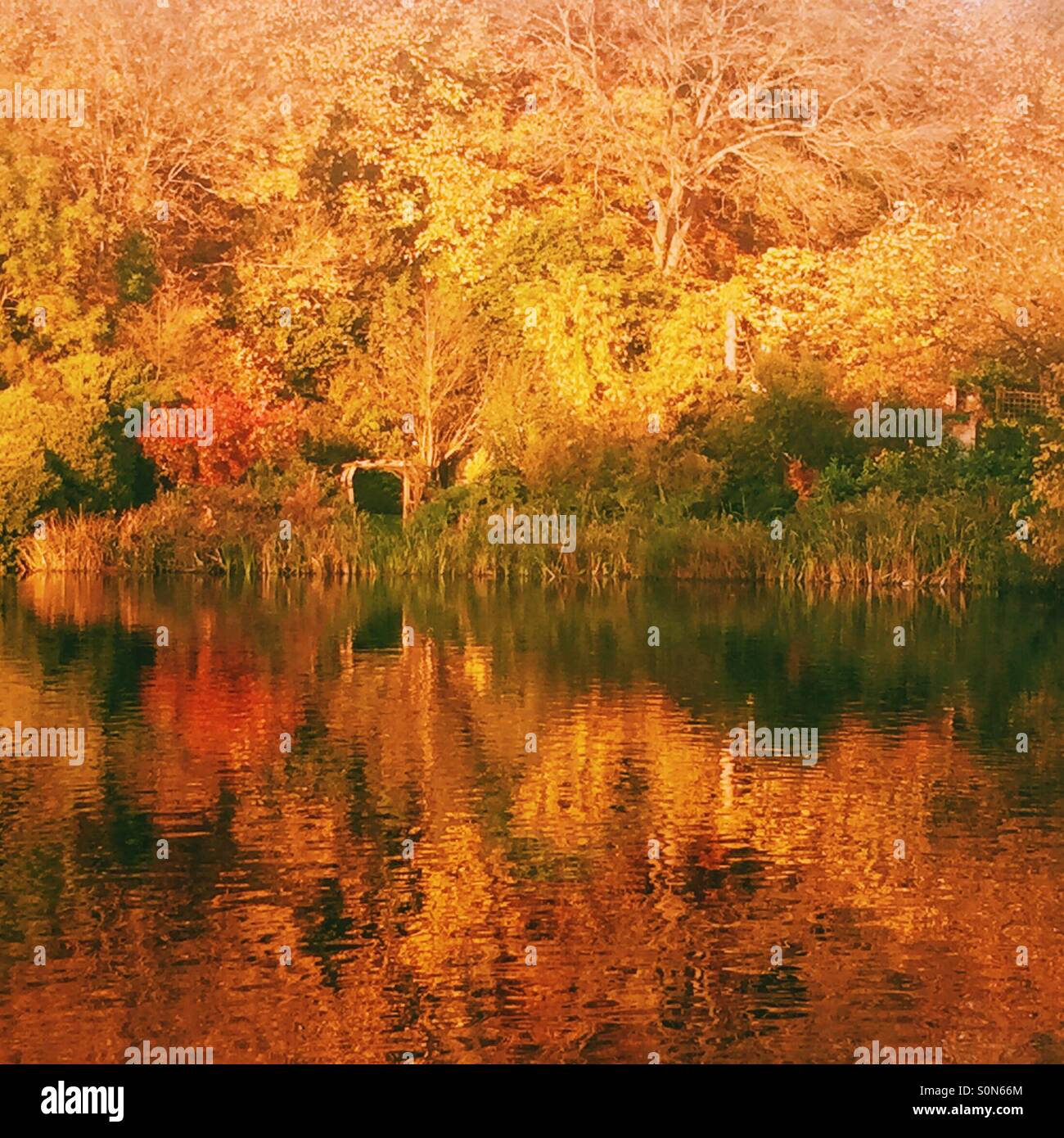 Autumn in hampstead heath hi-res stock photography and images - Alamy