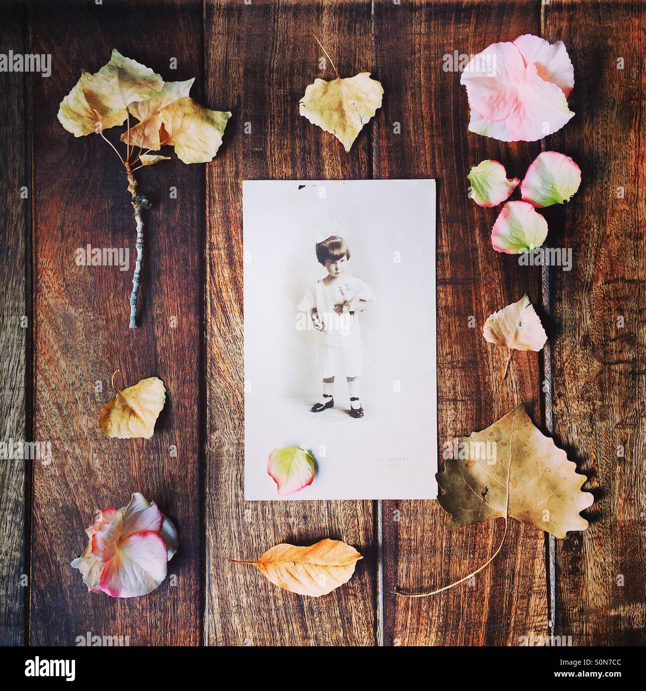 Family heirloom hi-res stock photography and images - Alamy